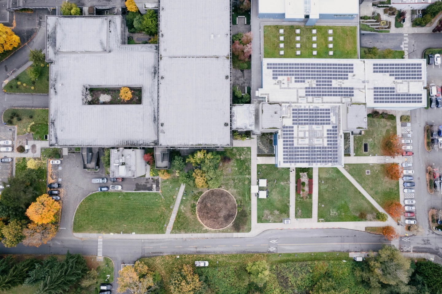 Seattle Unity Forest | SUGi