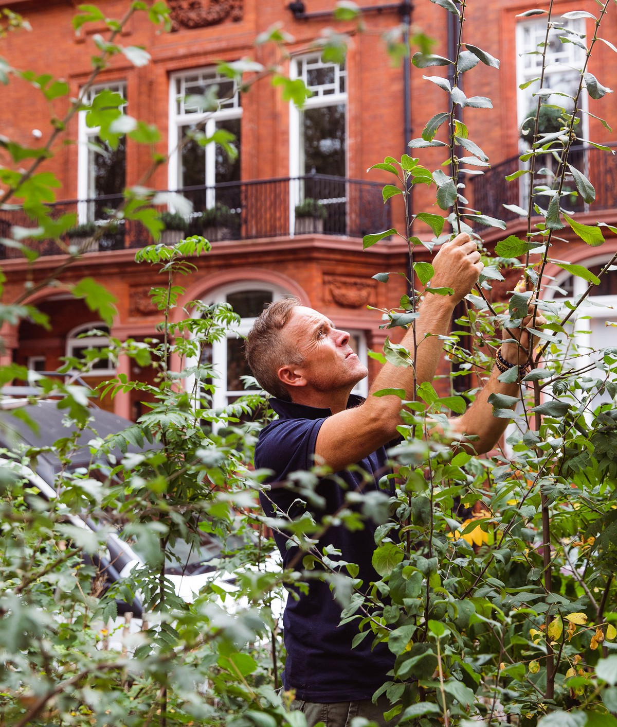 Heritage Forest | SUGi