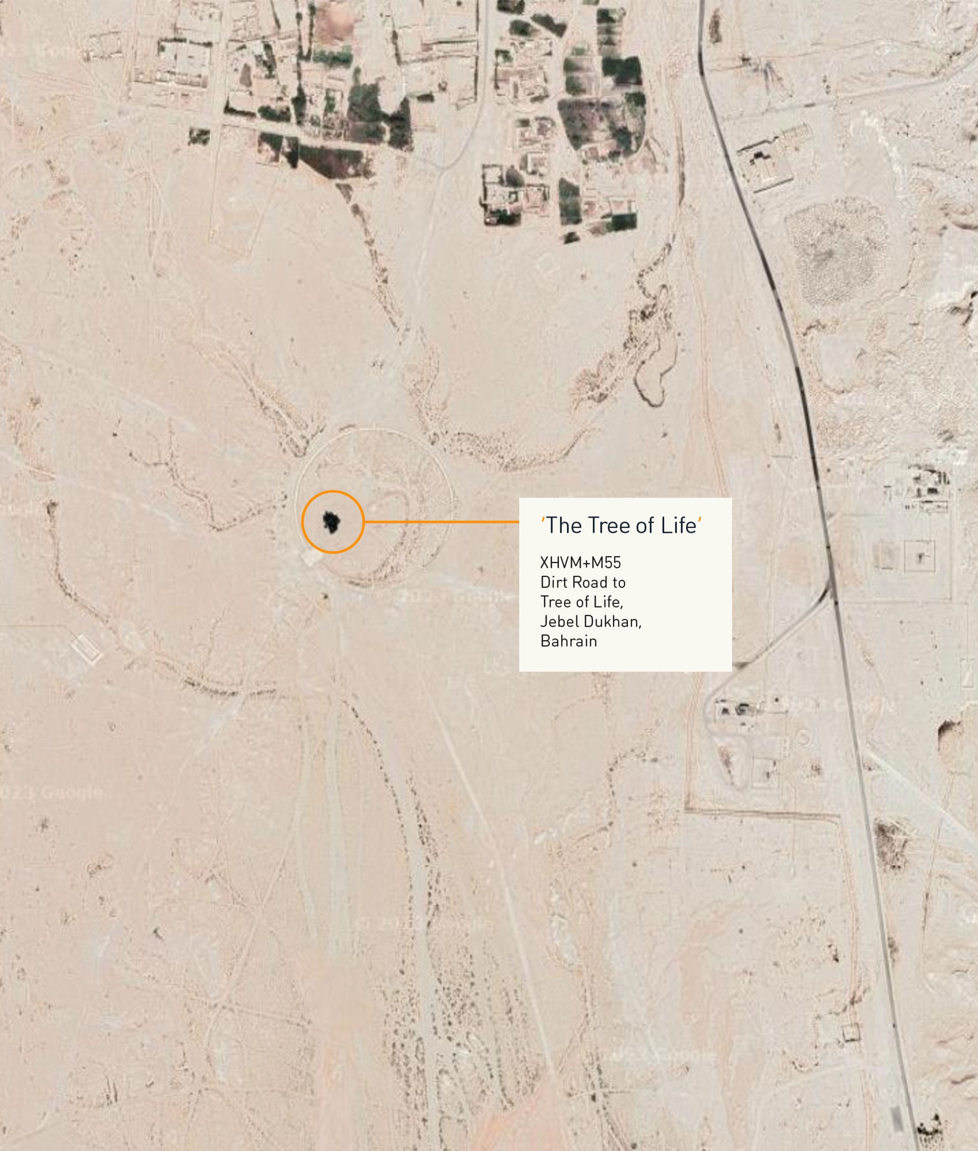 The Tree of Life | SUGi