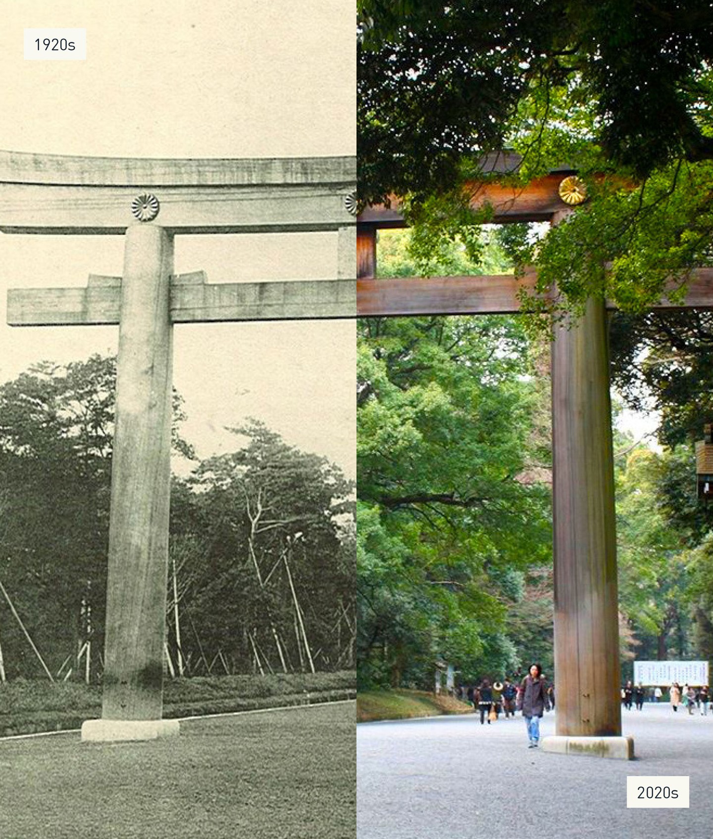 The Meiji Jingu Shrine | SUGi