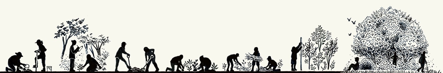 The Miyawaki Method for Creating Forests | SUGi