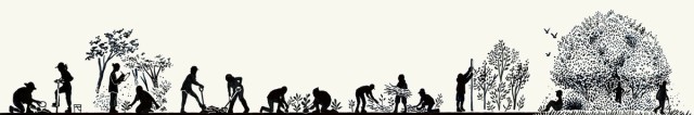 The Miyawaki Method for Creating Forests | SUGi