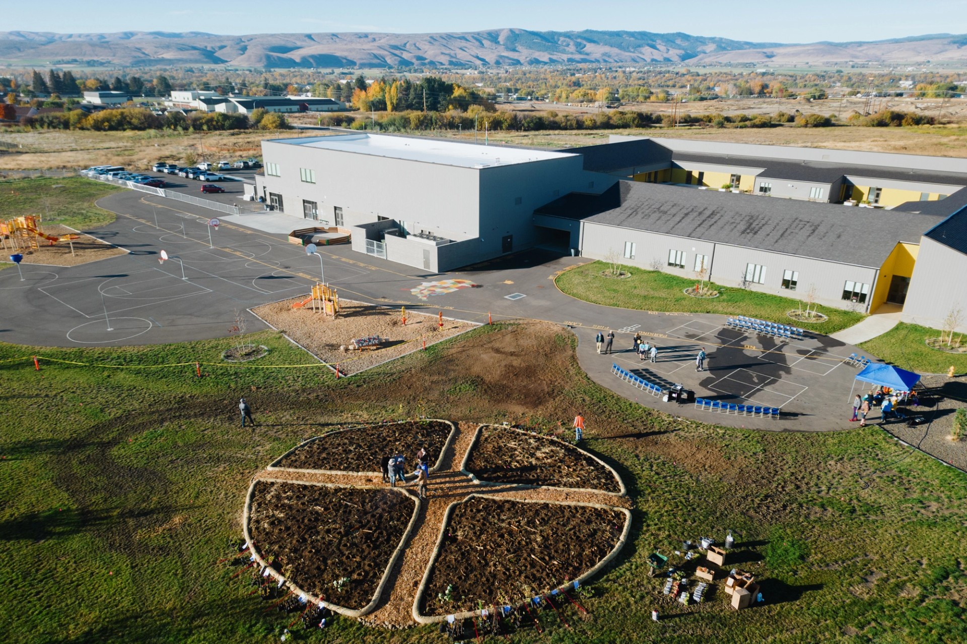 Ida Nason Aronica Forest | SUGi