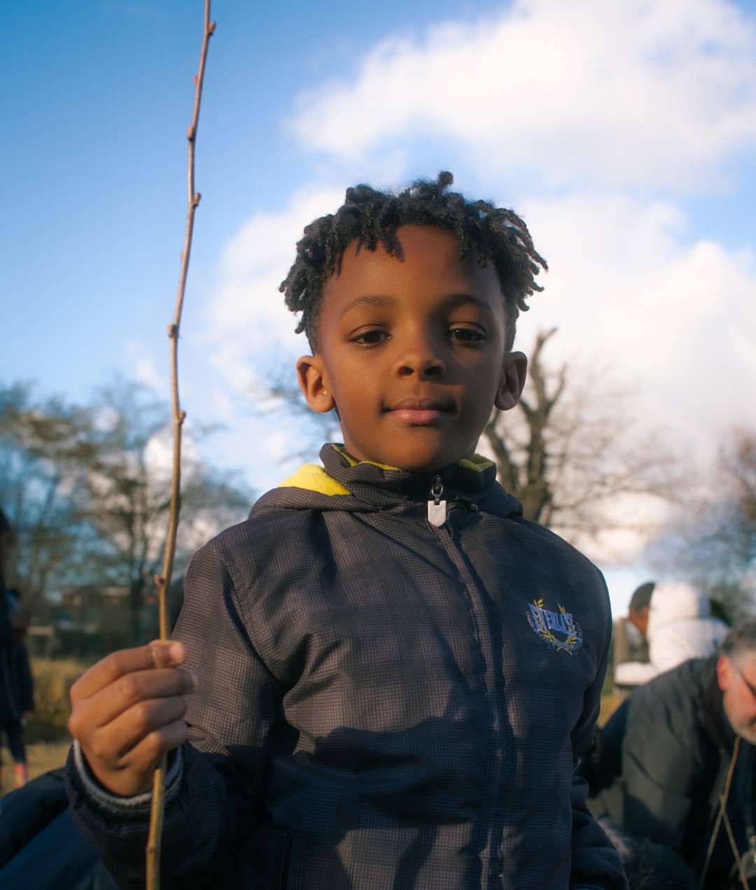 Harmony Forest | SUGi