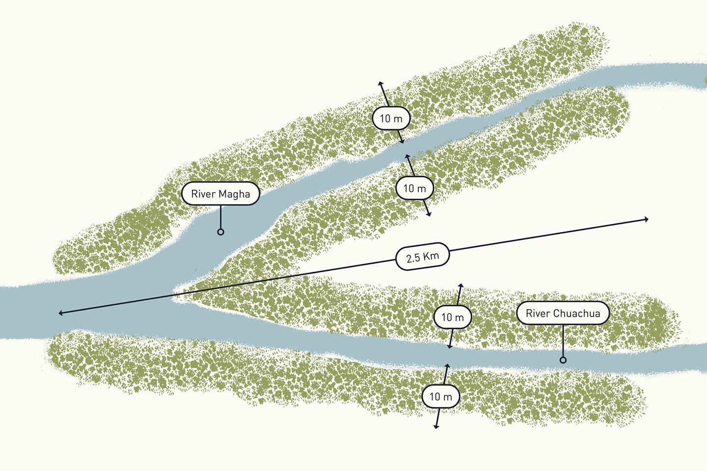 Nkambe River Revival Forest | SUGi