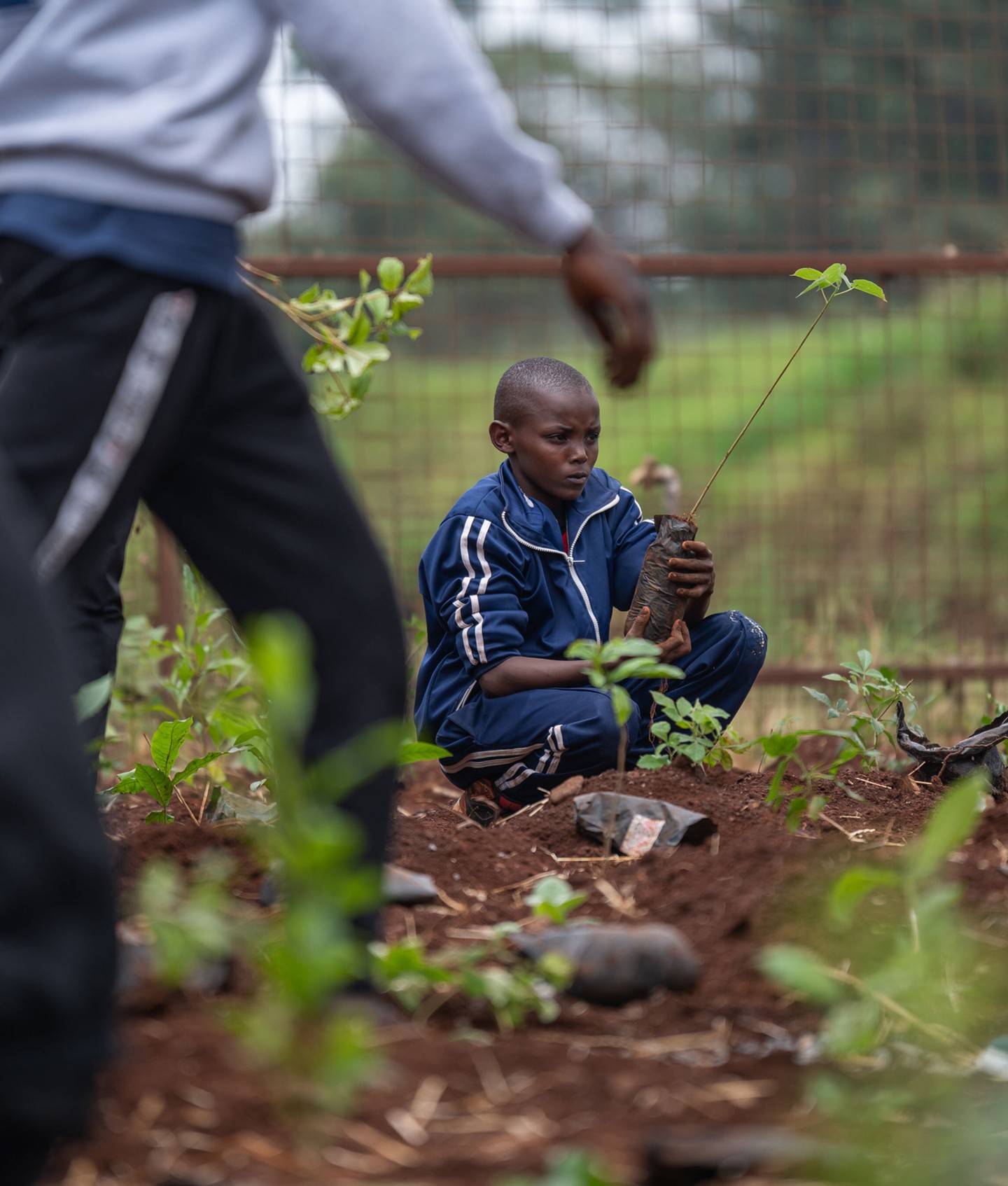 St Paul’s Unity Forest | SUGi