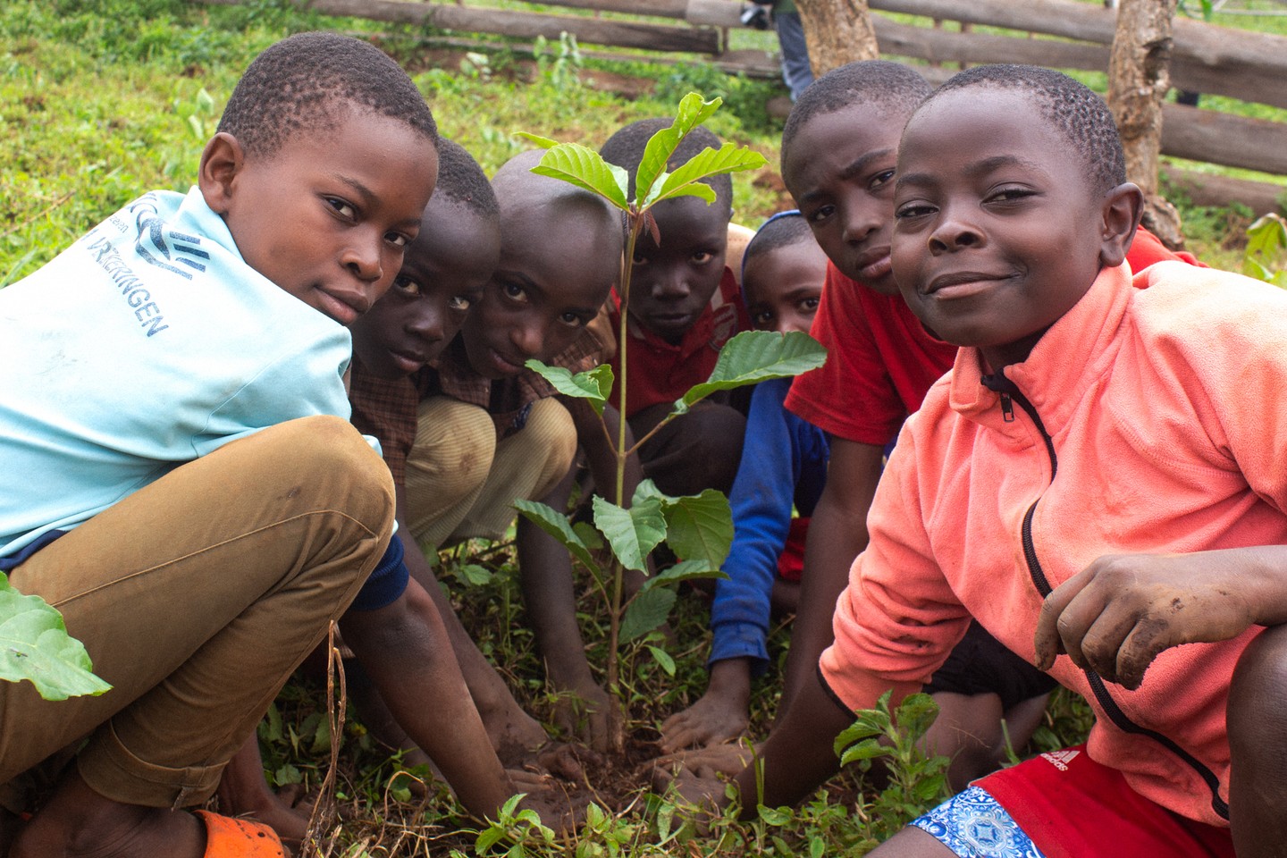 Nkambe River Revival Forest | SUGi