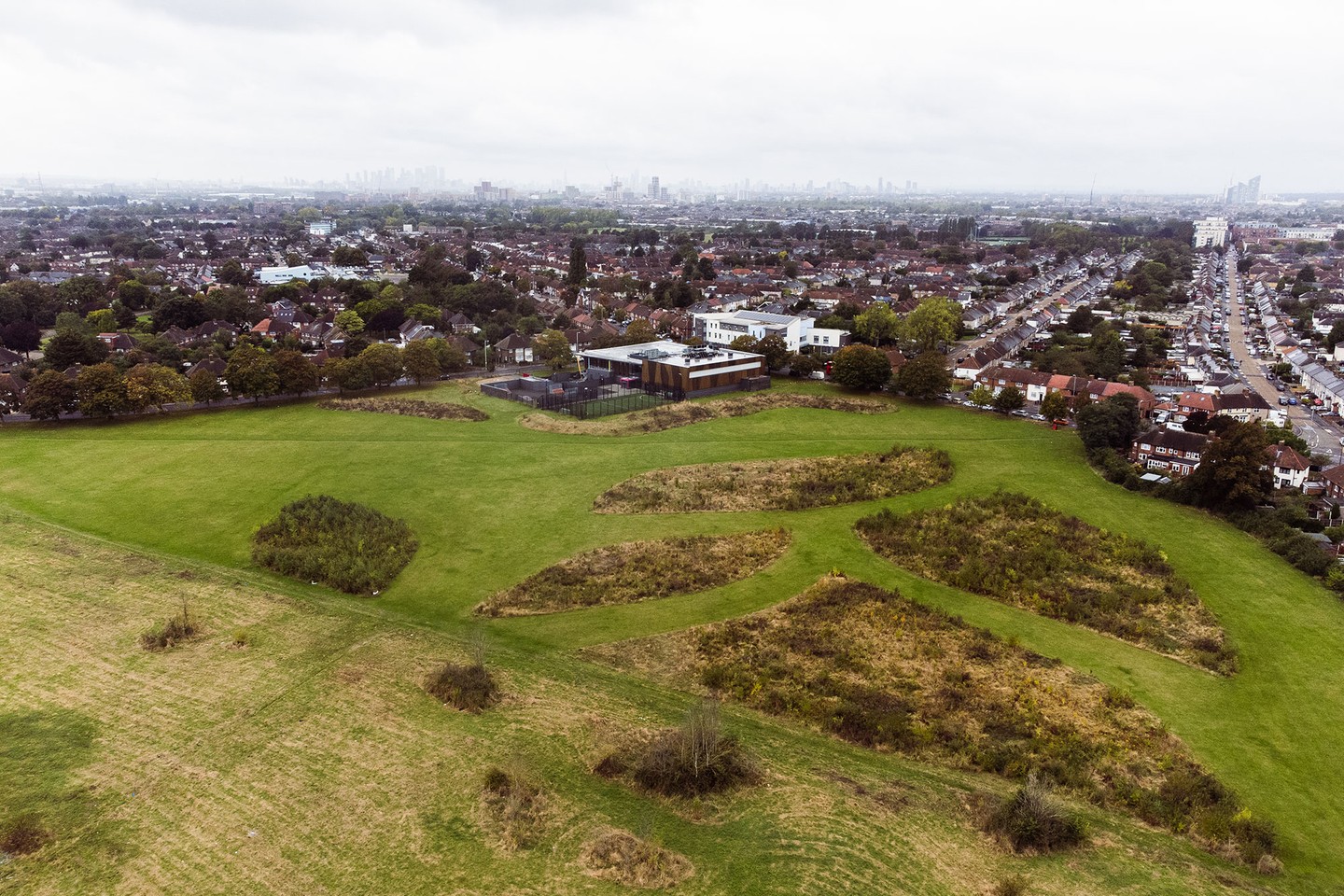 Forest of Thanks | SUGi