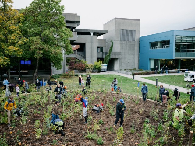Seattle Unity Forest | SUGi