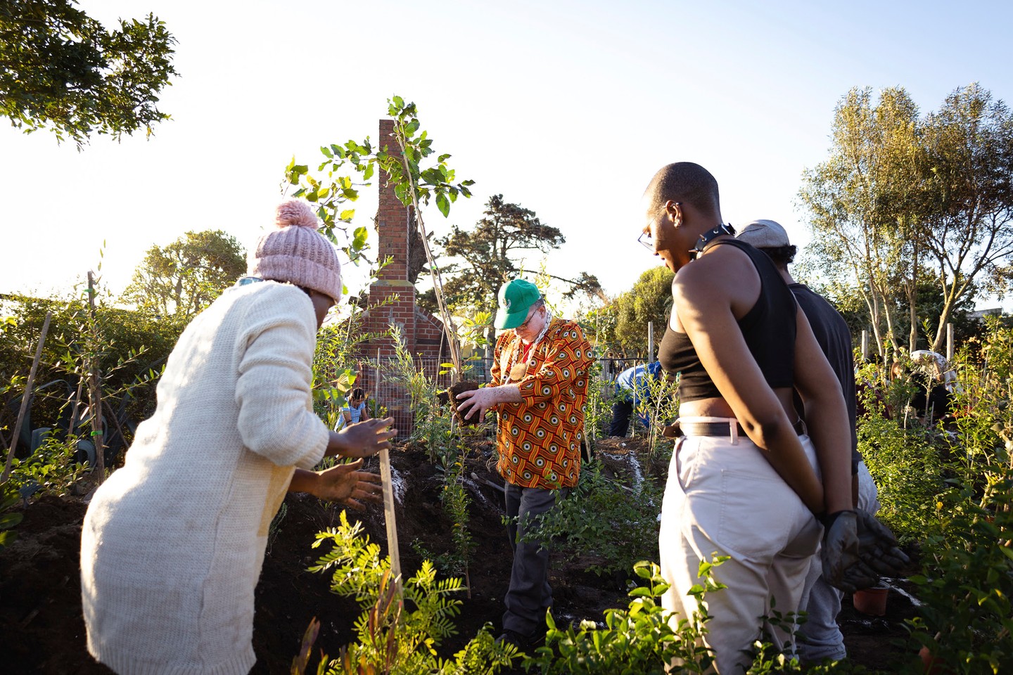 SUGi Pocket Forests – Cape Town | SUGi