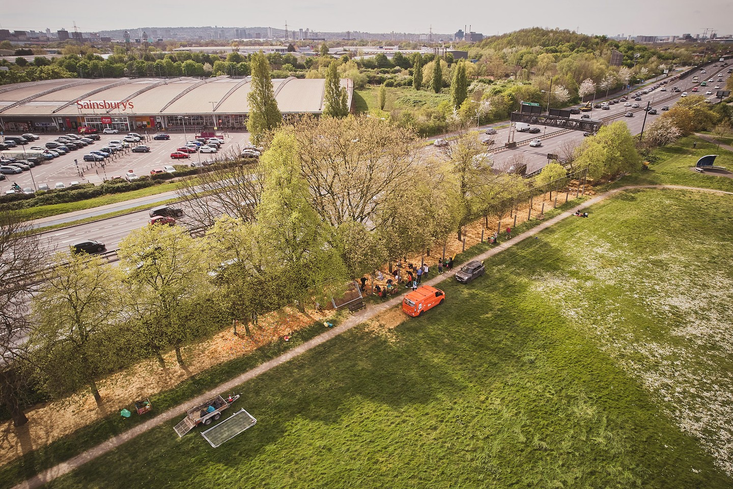 Gooseley Park Forest | SUGi