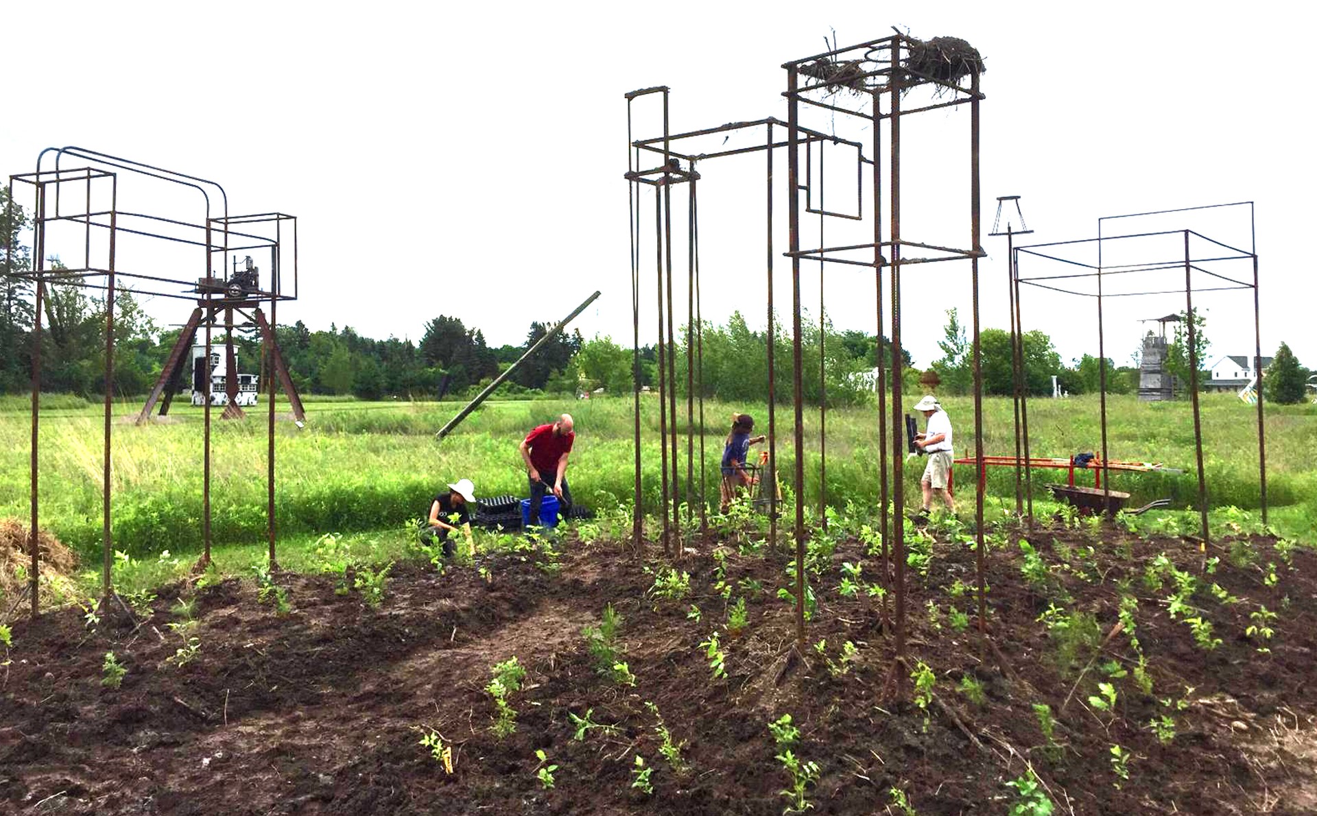 Franconia Forest | SUGi