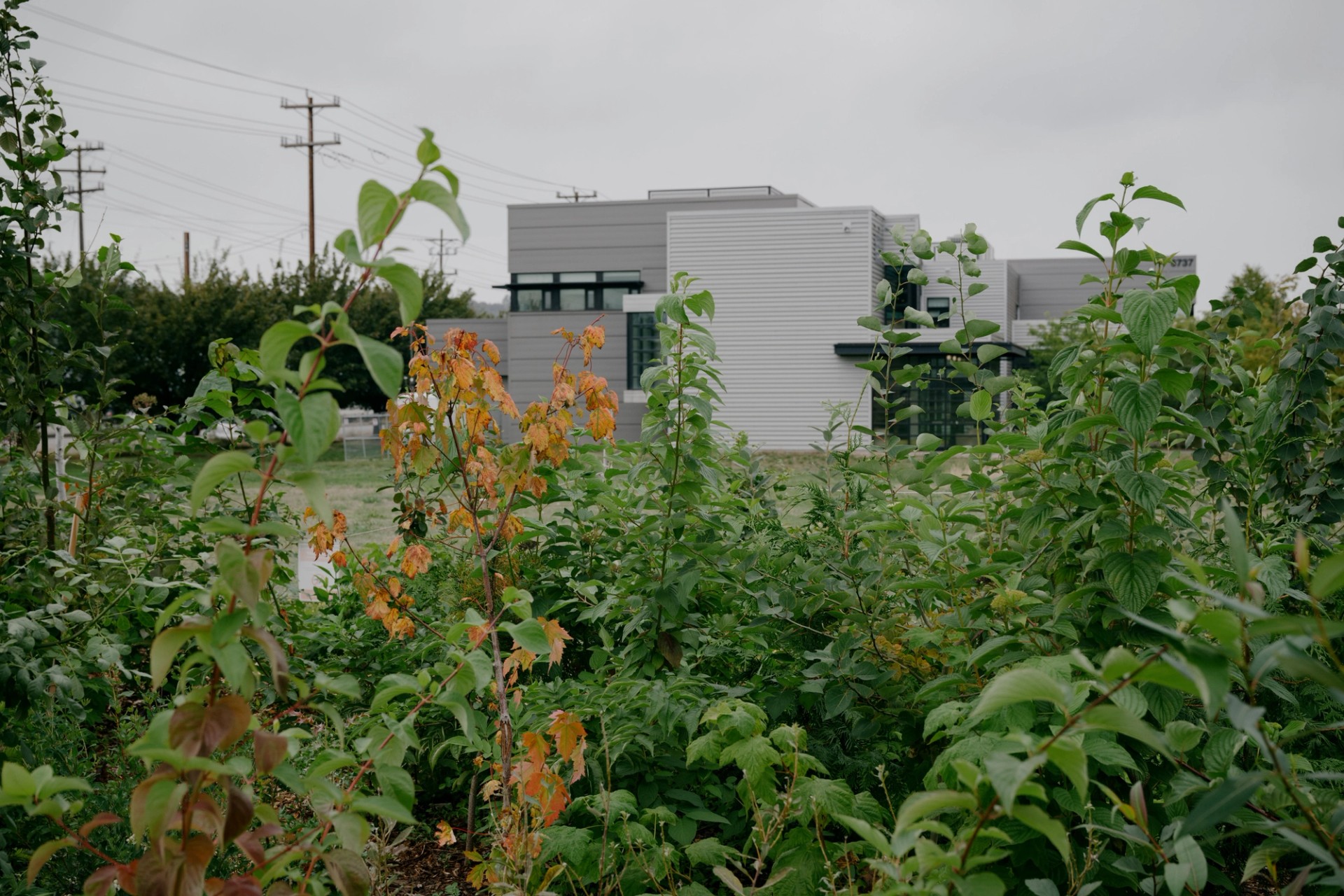 Georgetown Community Forest | SUGi