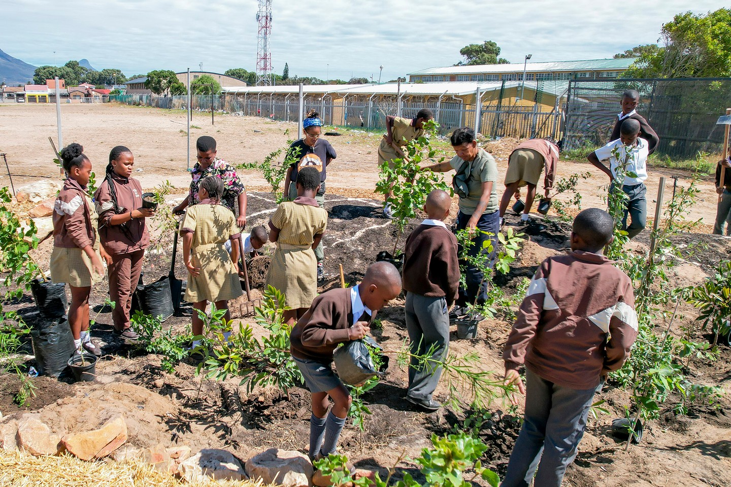 SUGi Pocket Forests – Cape Town | SUGi