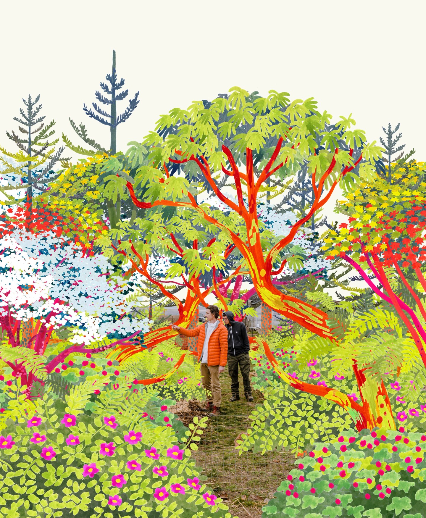 Georgetown Community Forest | SUGi