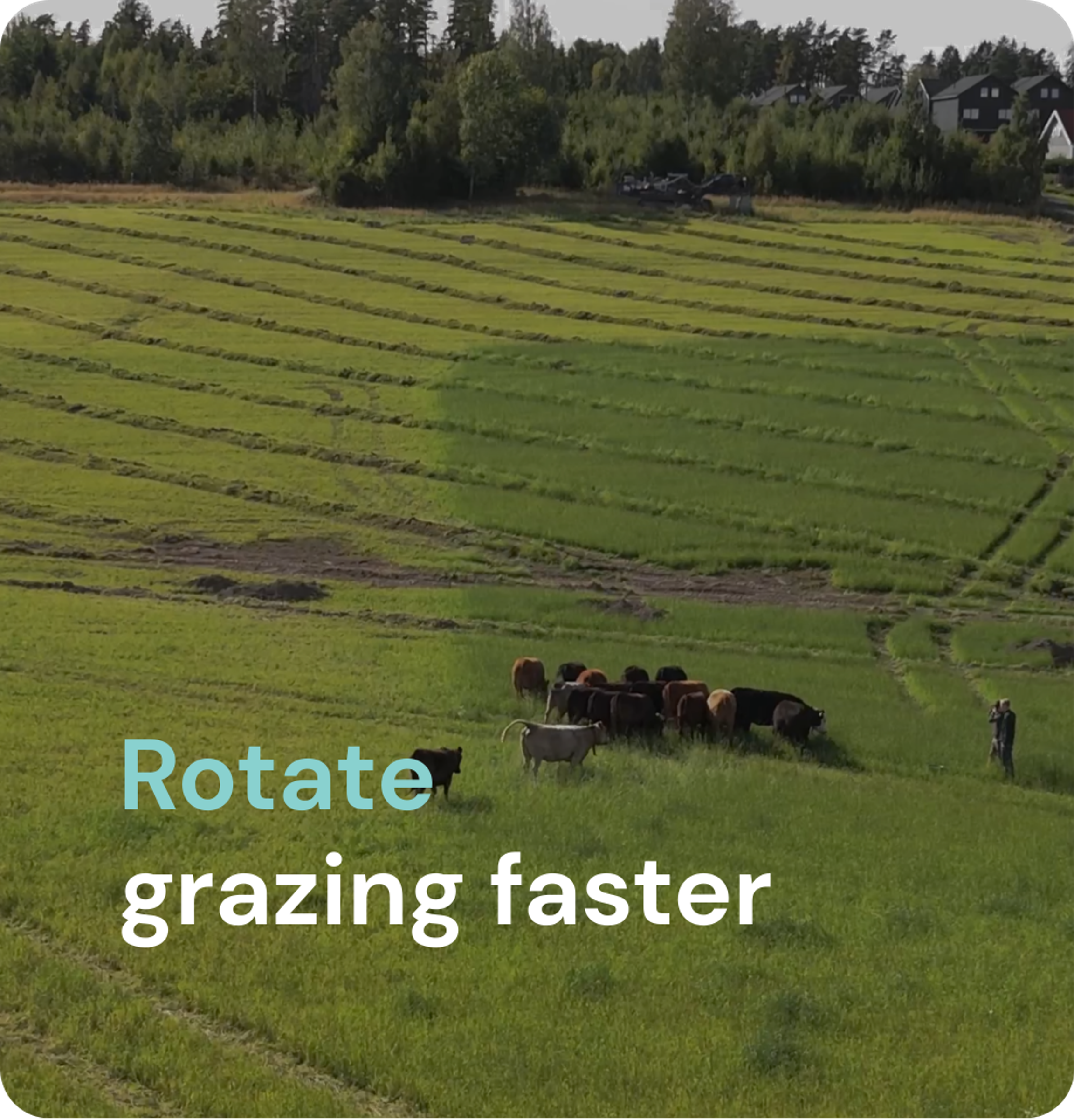 Virtual fencing for grazing animals | | Monil