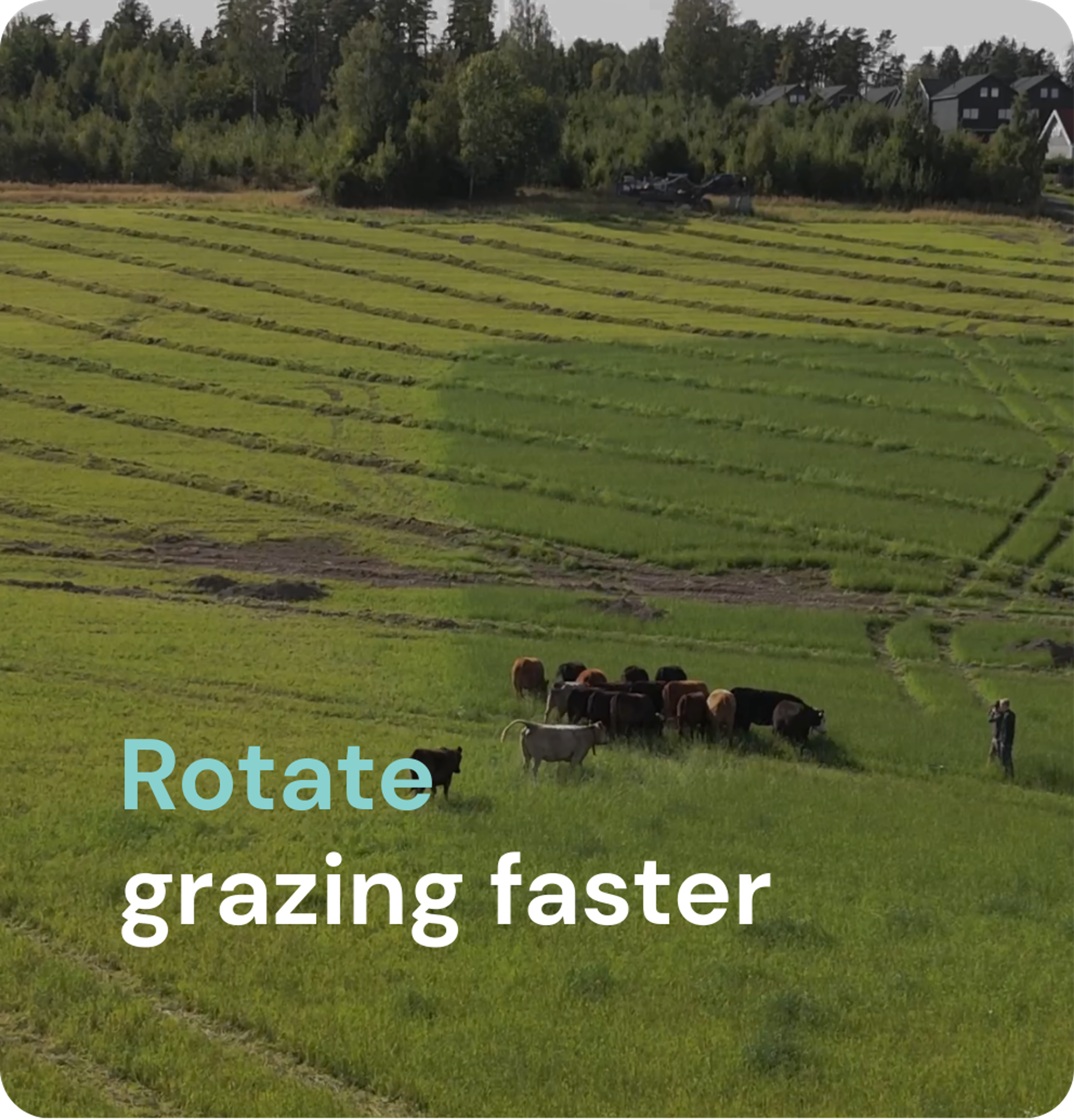 Virtual fencing for grazing animals | | Monil