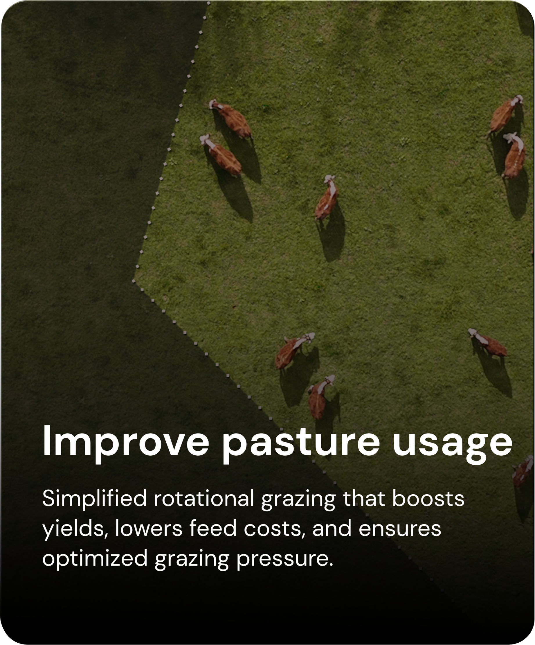 Virtual fencing for grazing animals · Monil