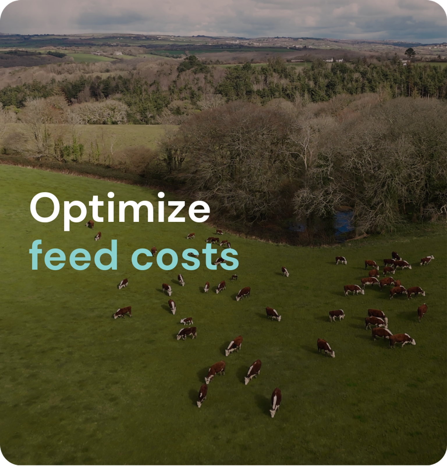 Virtual fencing for grazing animals | | Monil