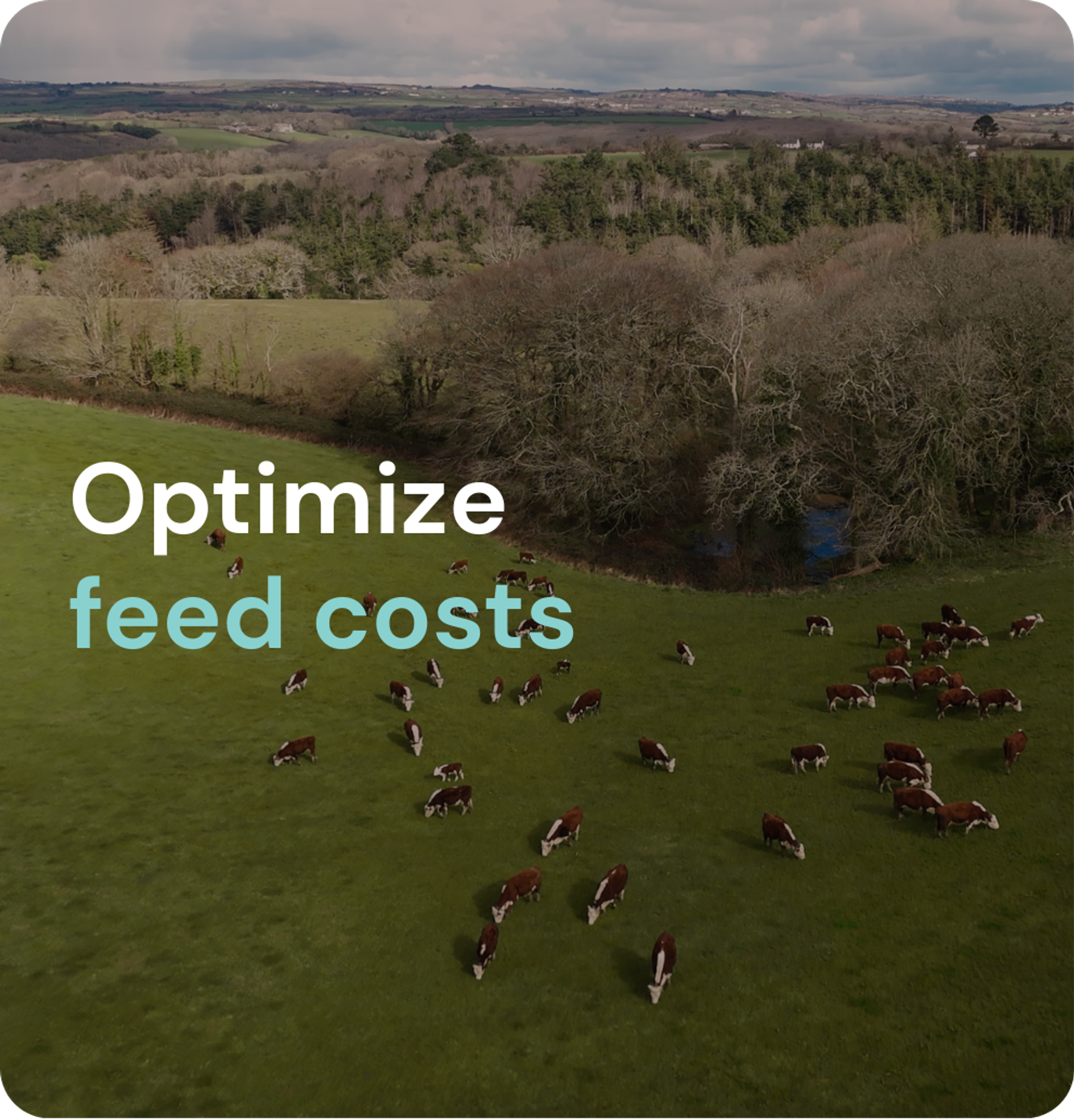 Virtual fencing for grazing animals | | Monil