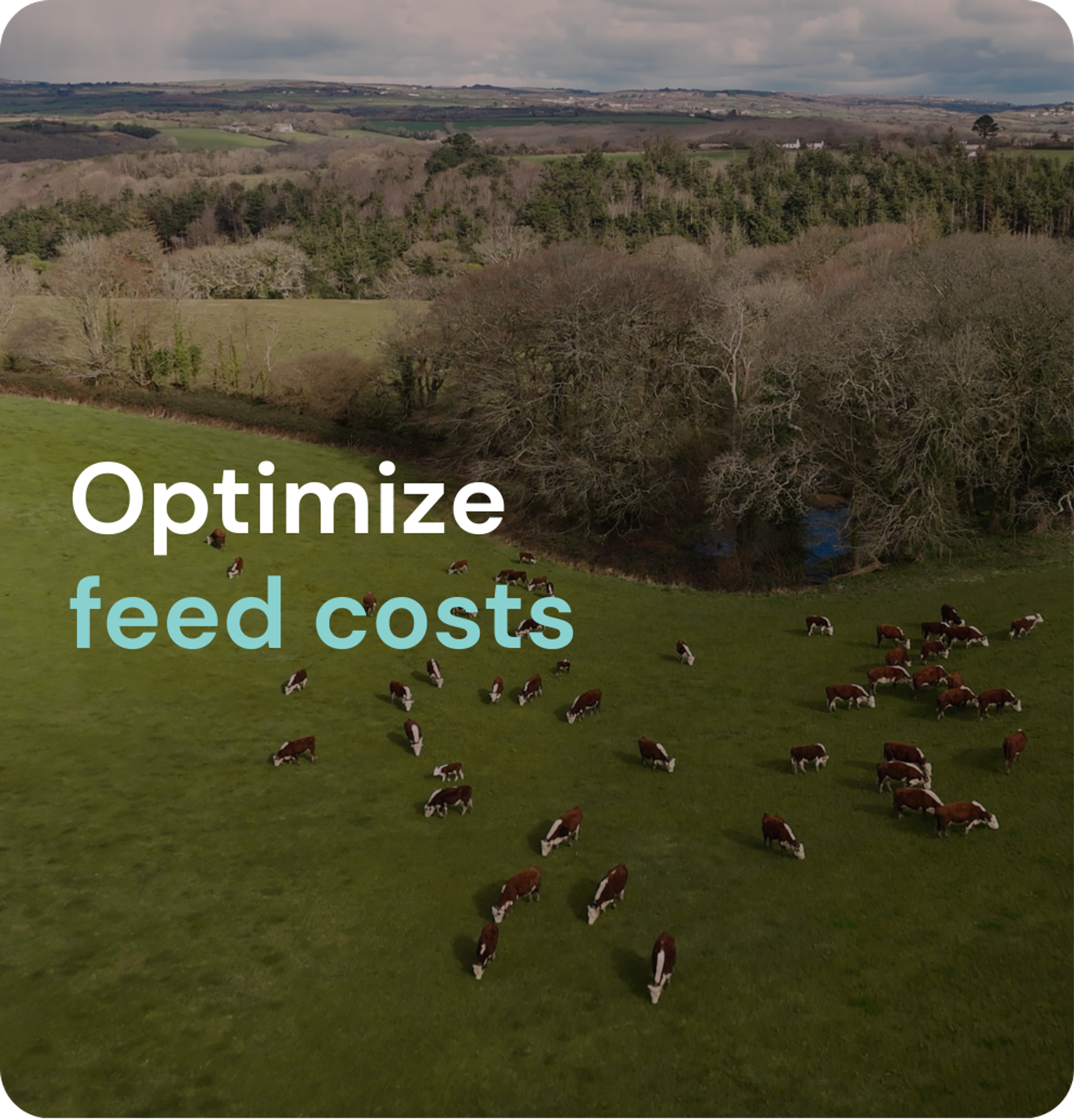 Virtual fencing for grazing animals | | Monil