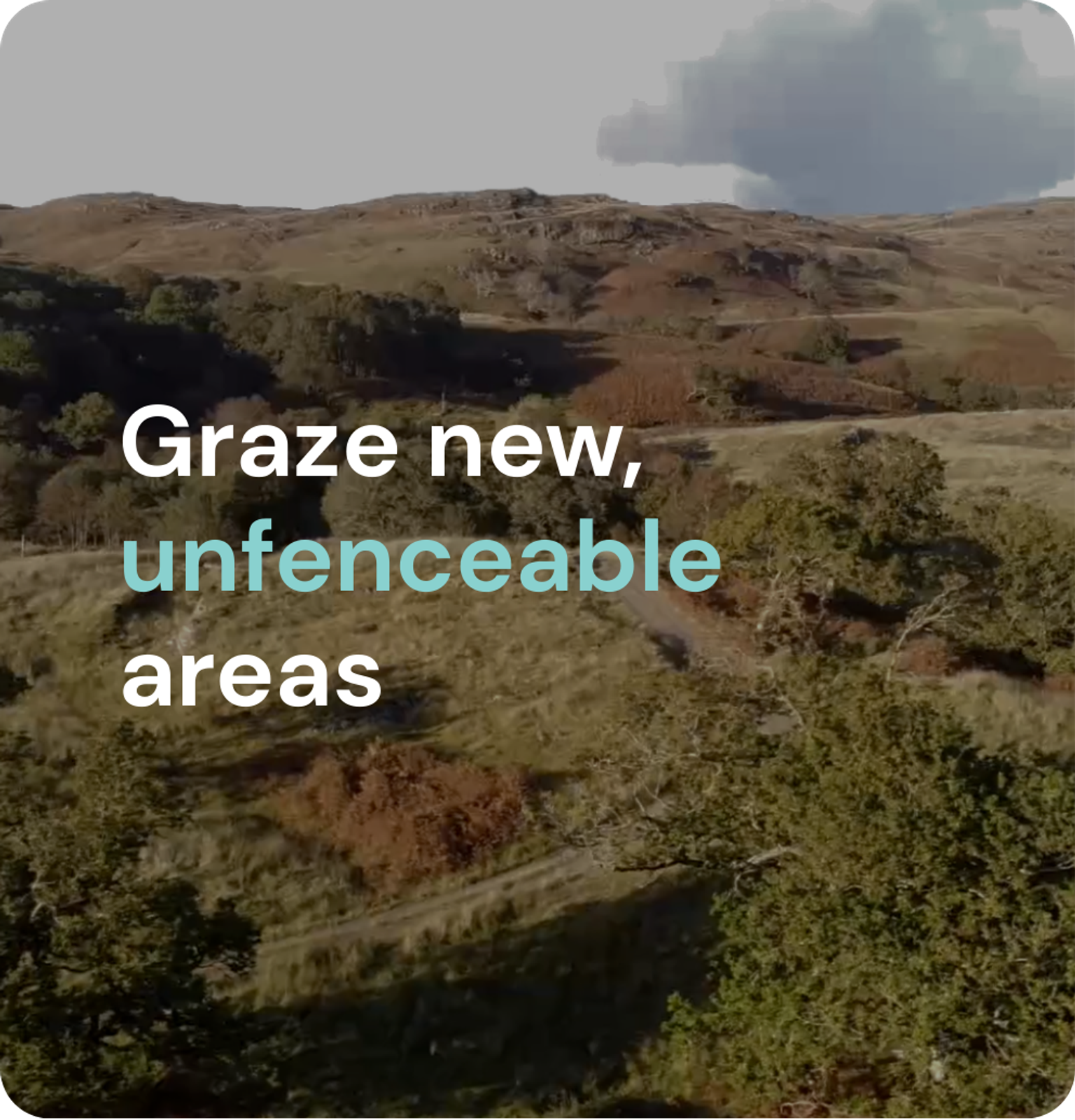 Virtual fencing for grazing animals | | Monil