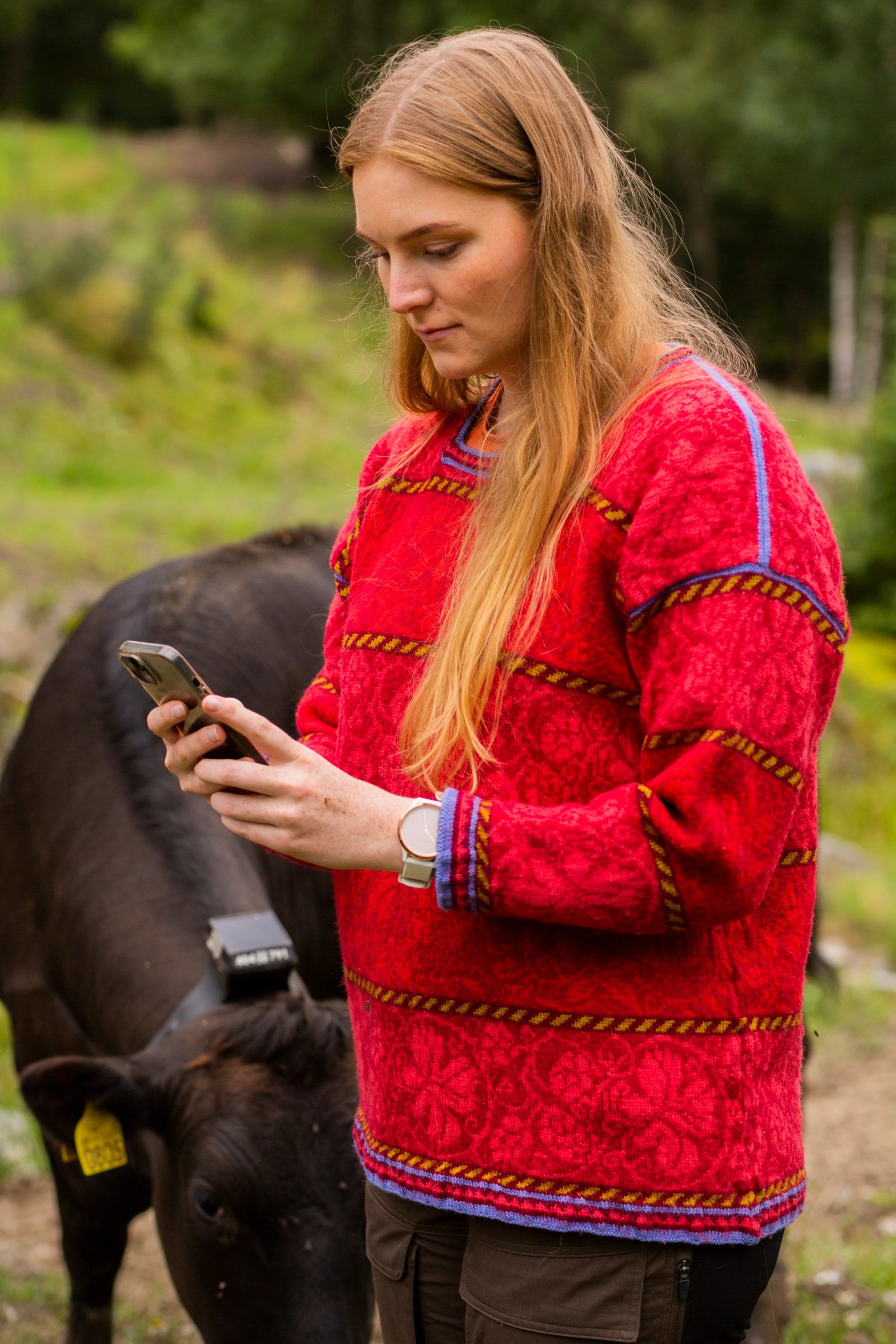 Grazing Management: Exploring the Pros and Cons of Various Grazing ...