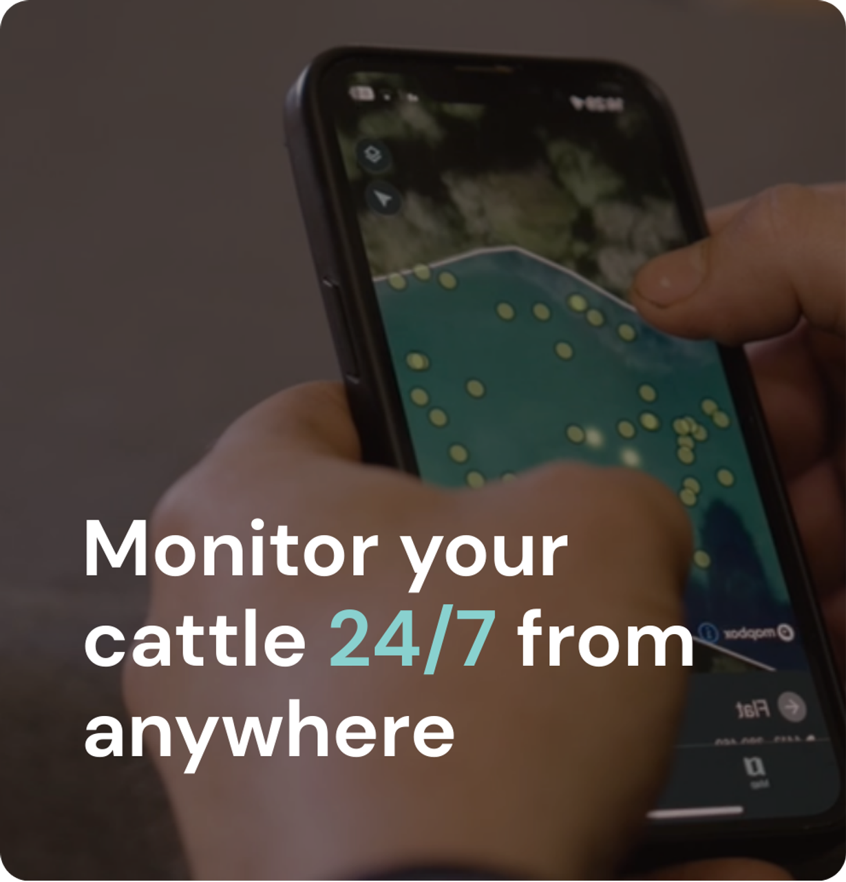 Virtual fencing for grazing animals | Monil