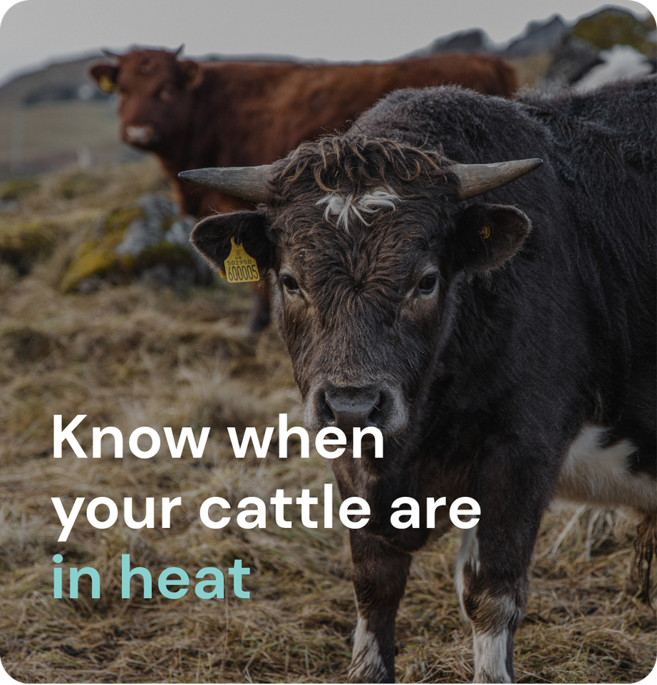 Virtual fencing for grazing animals | | Monil