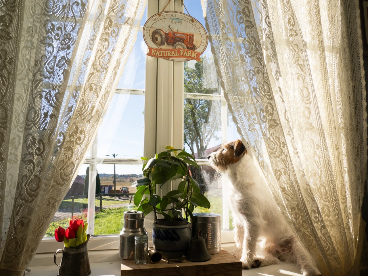 Bondens 3 beste tips for å komme i gang med Monil