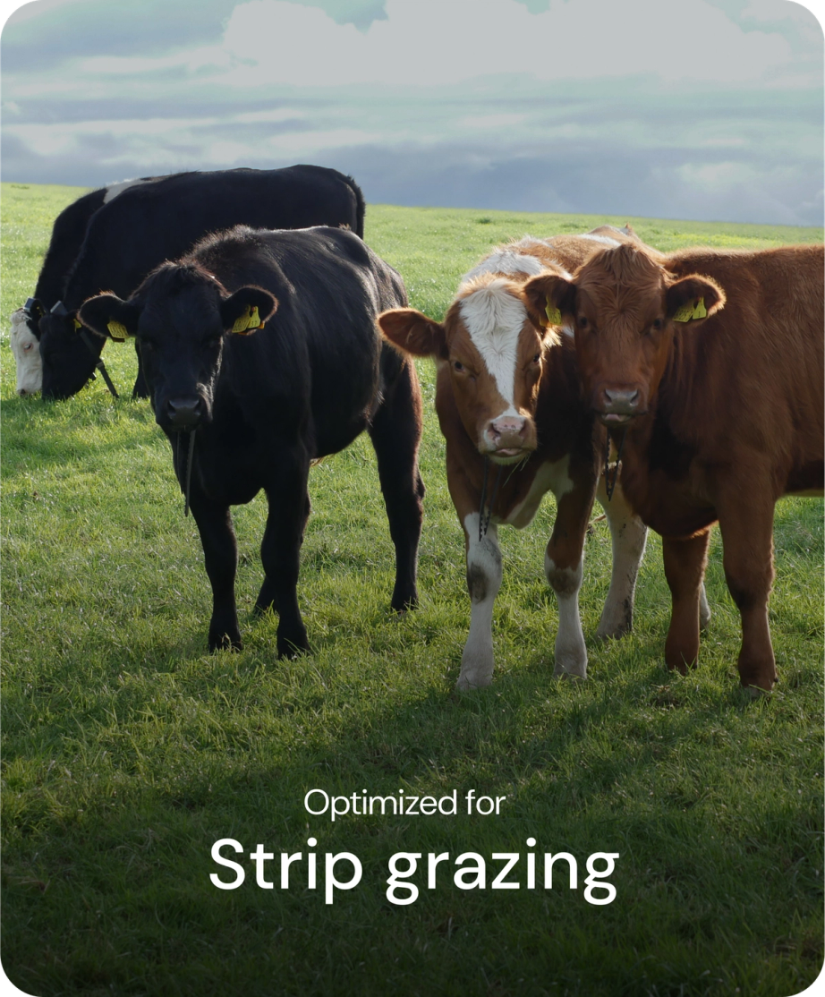 Virtual fencing for grazing animals · Monil