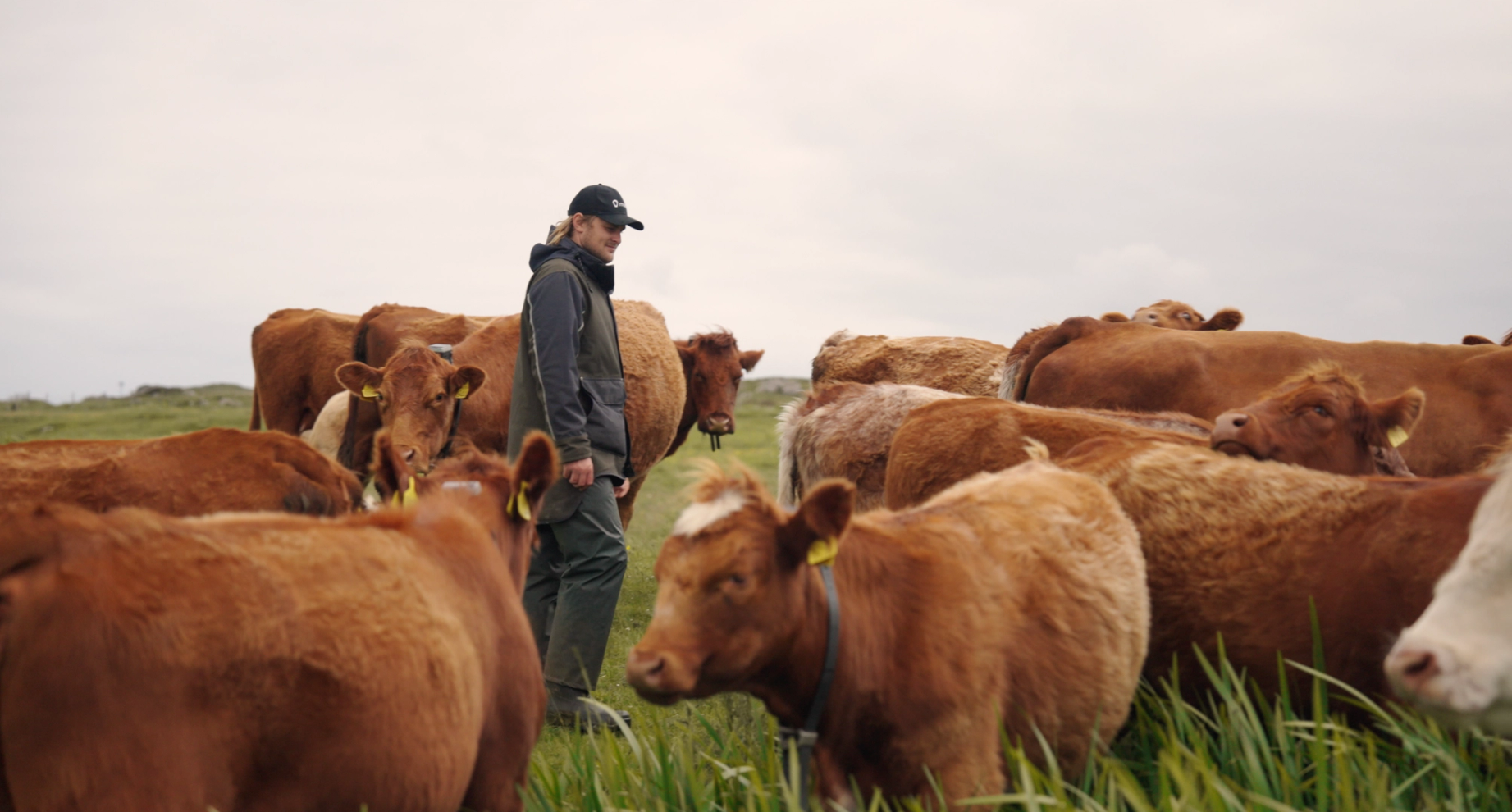 Virtual fencing for grazing animals · Monil