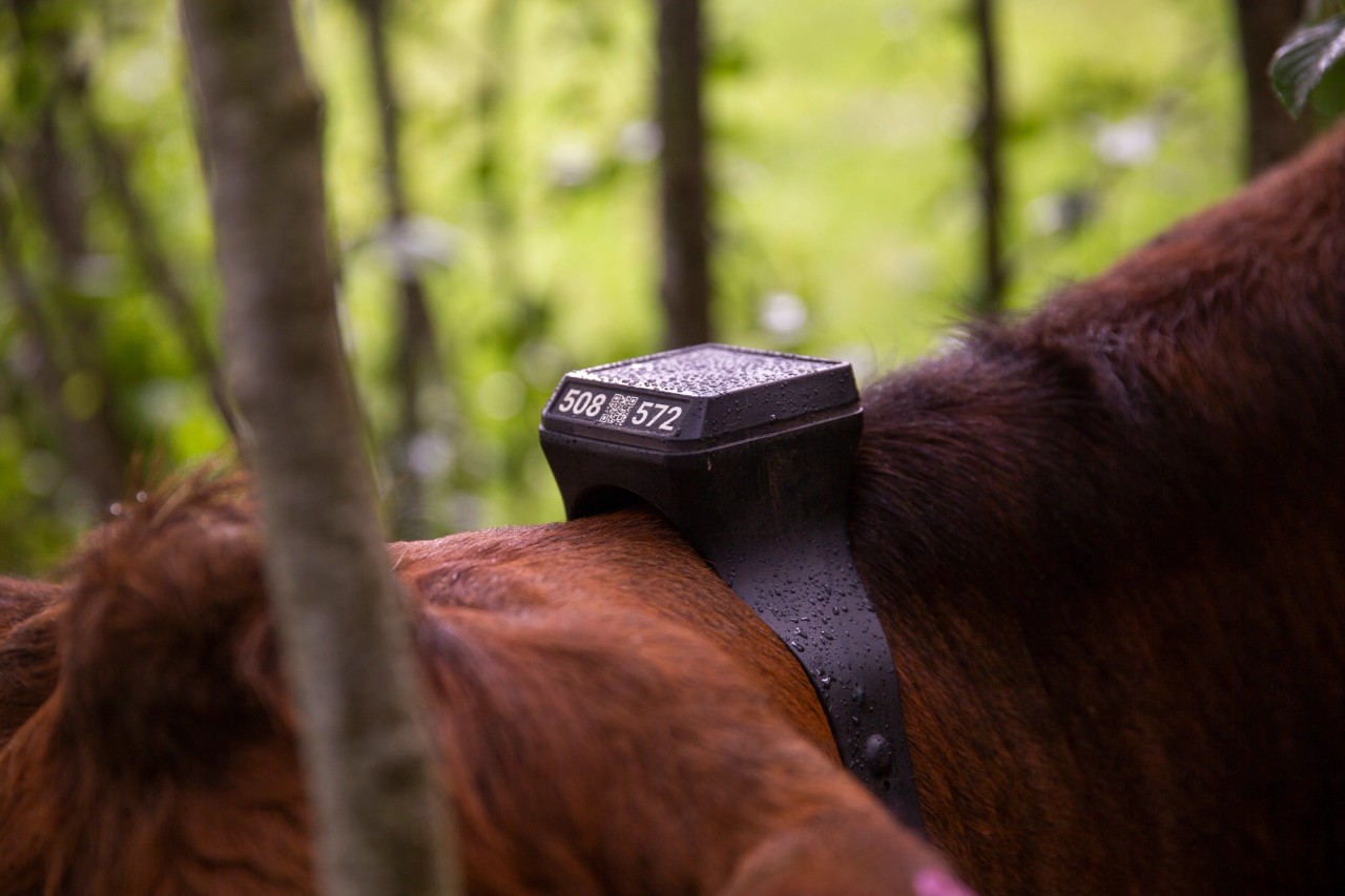 Virtual fencing for grazing animals · Monil Virtual Fences