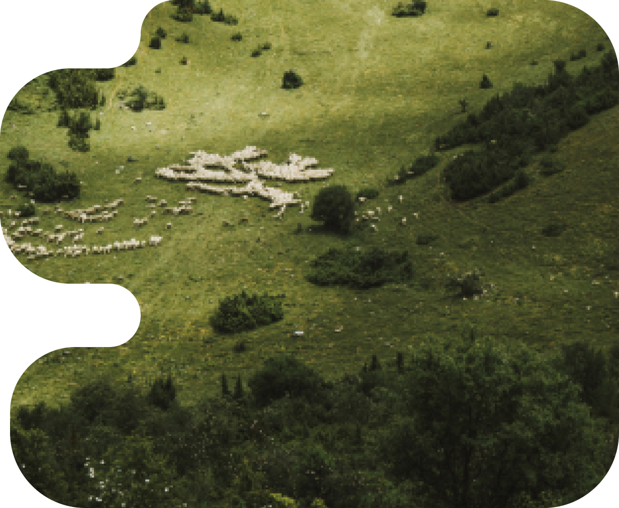 Virtual fencing for grazing animals · Monil Virtual Fences