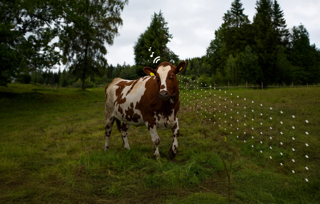 Virtual fencing for grazing animals