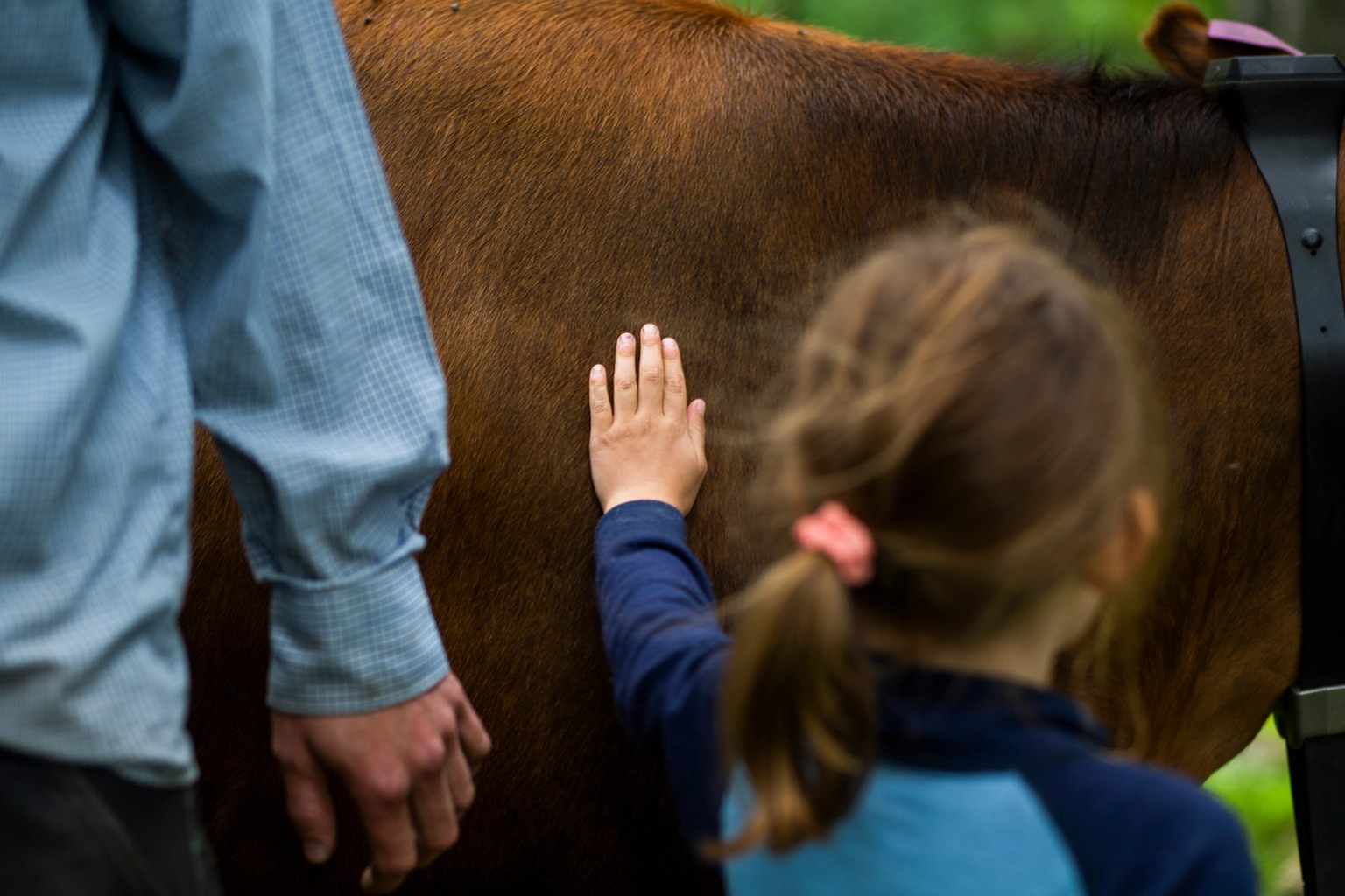 Virtual fencing for grazing animals · Monil Virtual Fences