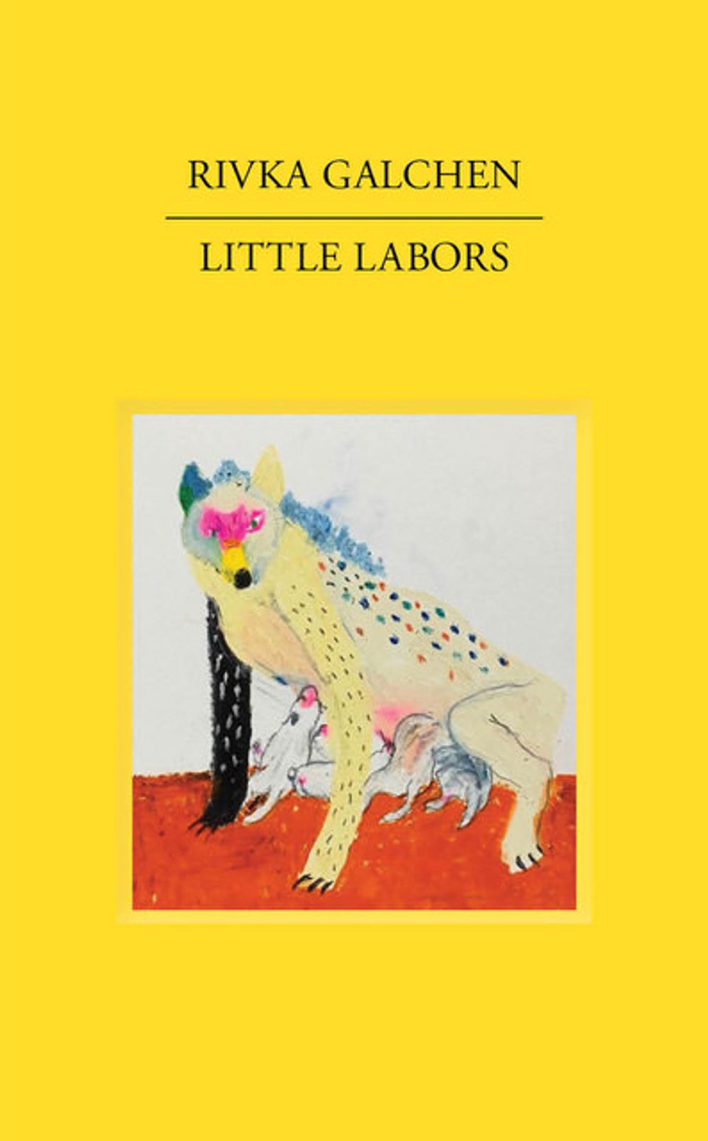 Little Labors by Rivka Galchen | New Directions | New Directions Publishing