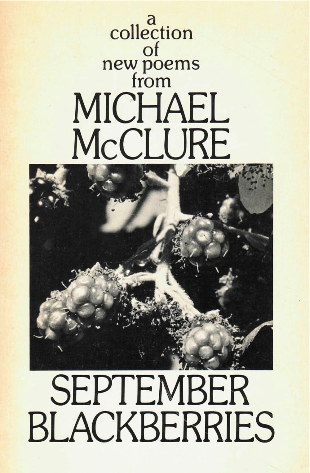 September Blackberries | New Directions Publishing