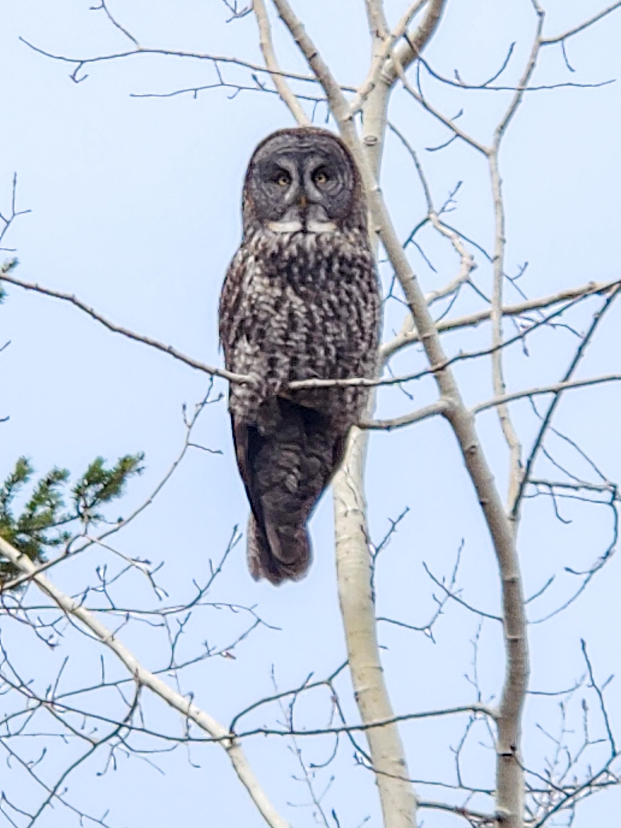 Neighbours, Nature, and a $50,000 Gift: Leah and Rendal’s Backyard ...