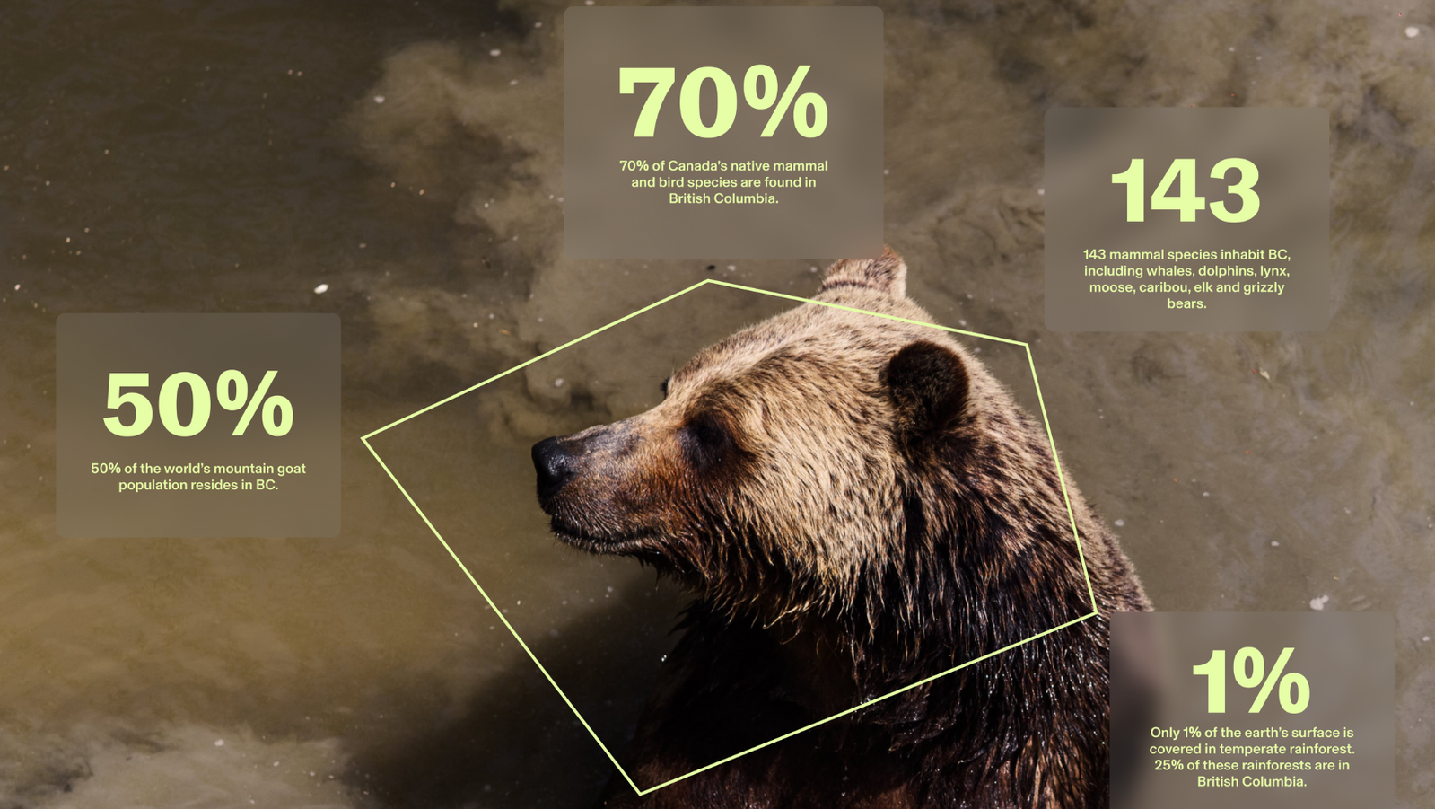 BC Parks Foundation Launches a Bold New Visual Identity | BC Parks ...