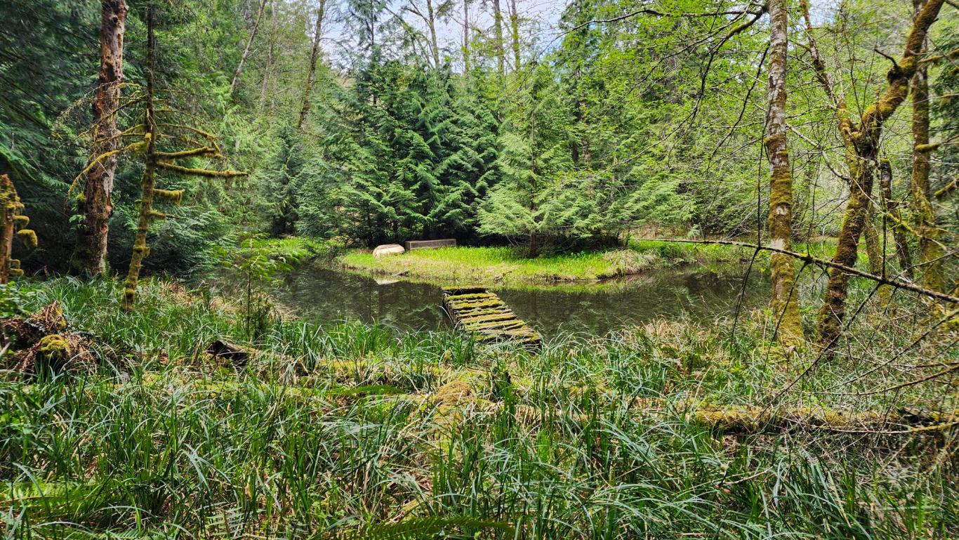 40 Acres on Salt Spring Island Protected Forever | BC Parks Foundation