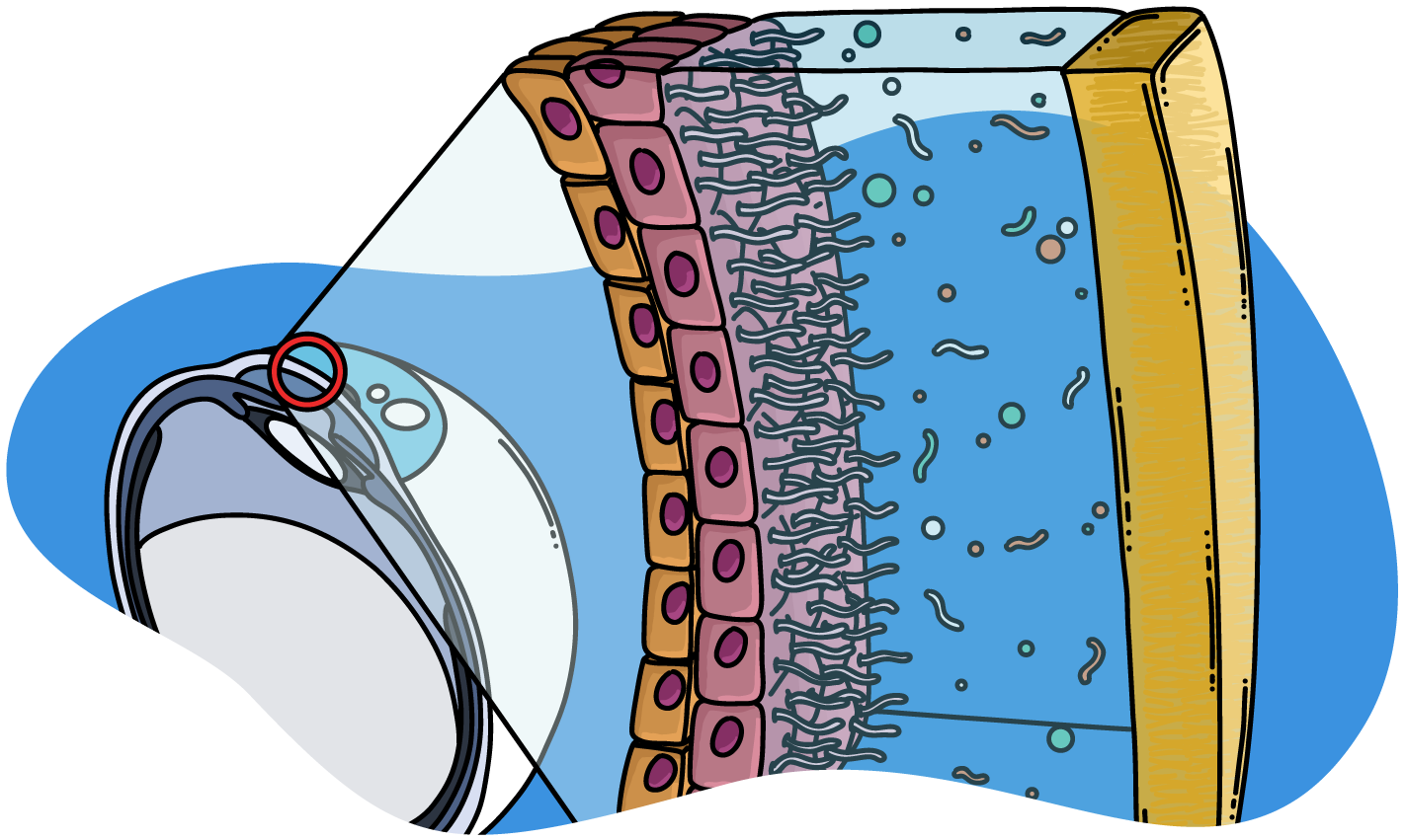 Clinical Insights: Redefining the Management of Dry Eye Disease