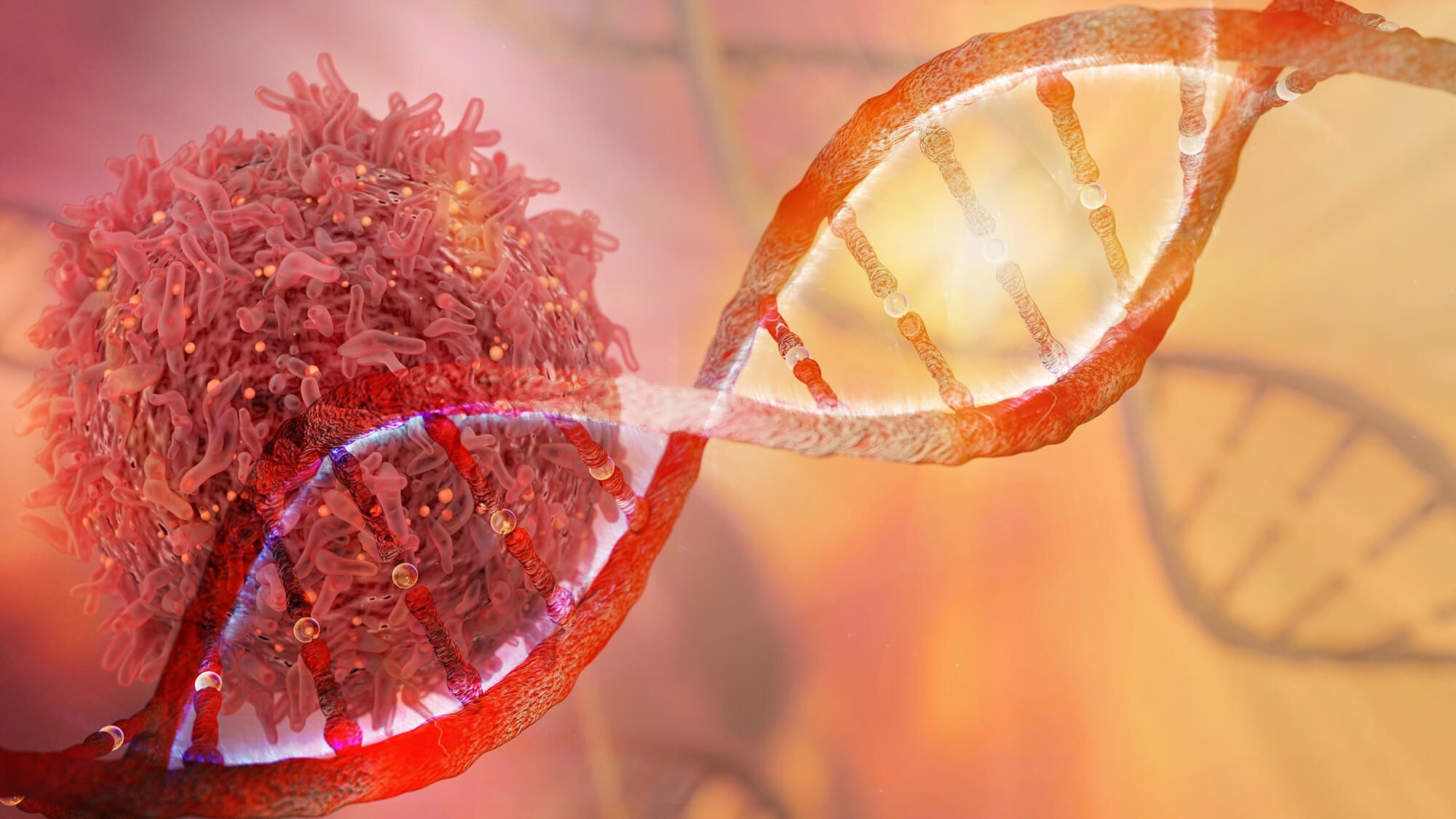Hereditary Diffuse Gastric Cancer (HDGC)