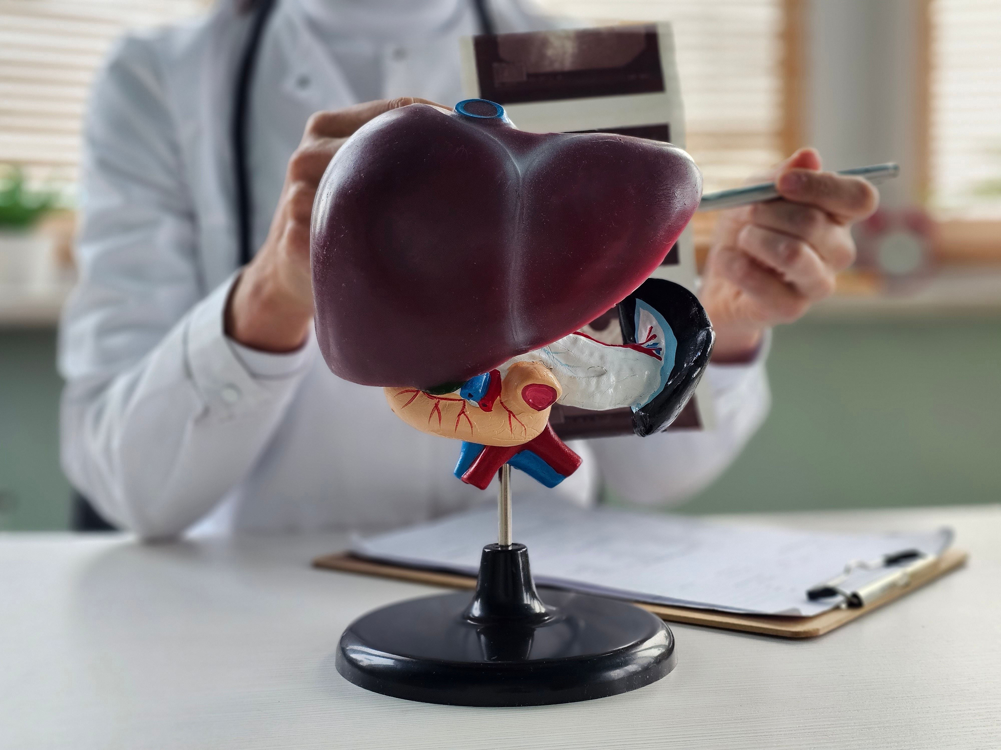 Understanding Liver Biopsy