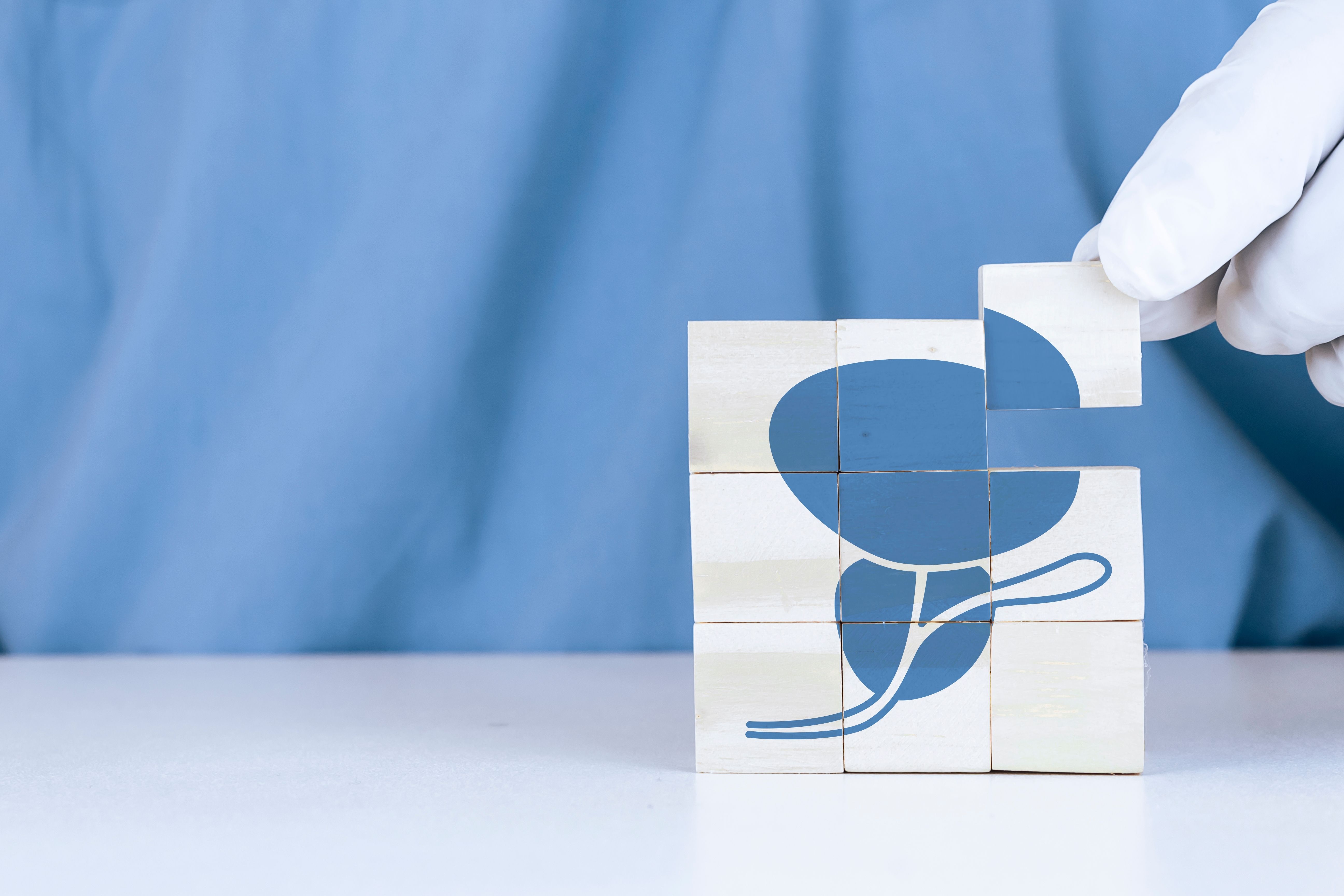 Prostatitis and Prostate Cancer: What Men Need to Know