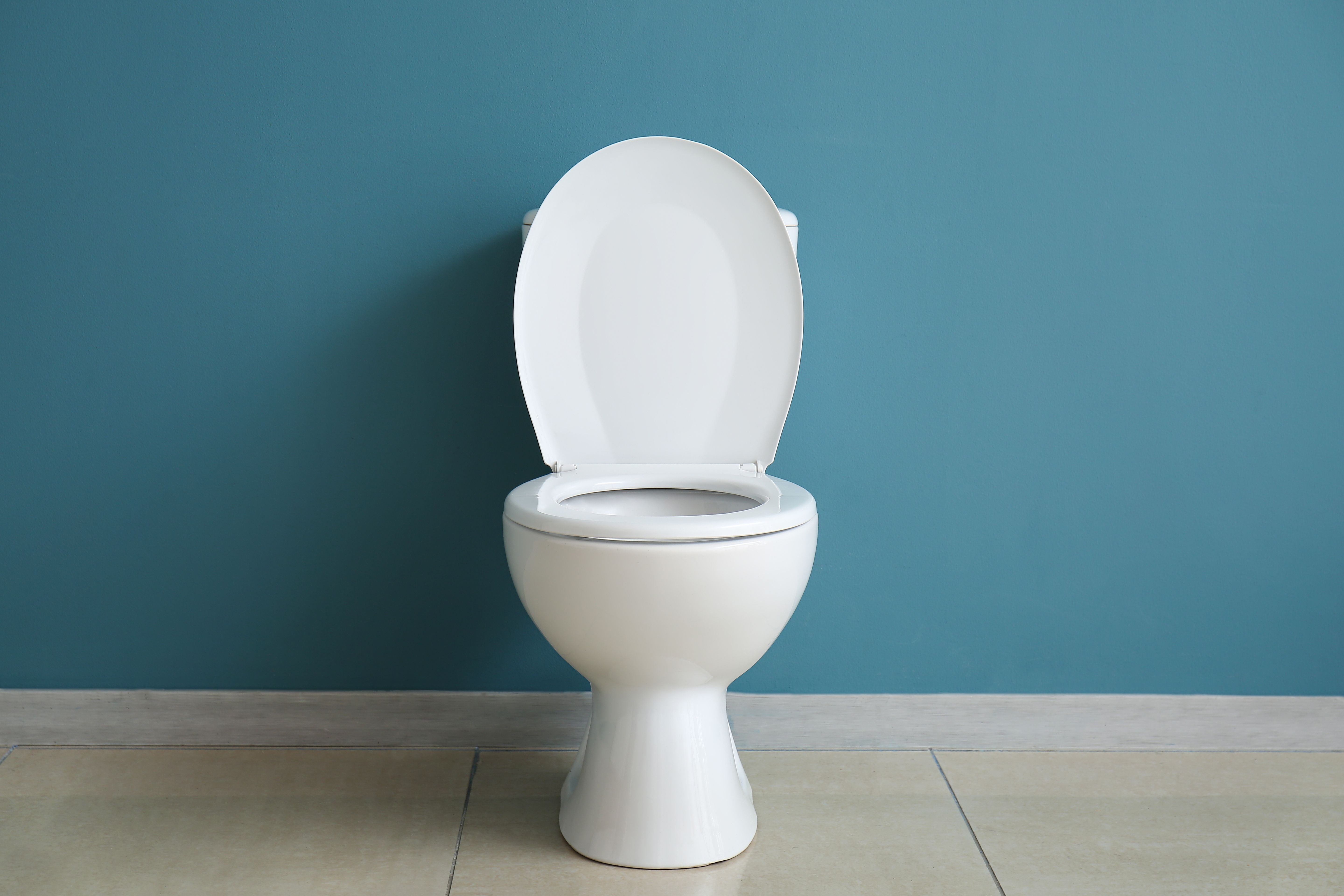 "Smart" Toilet May One Day Detect Colorectal Cancer