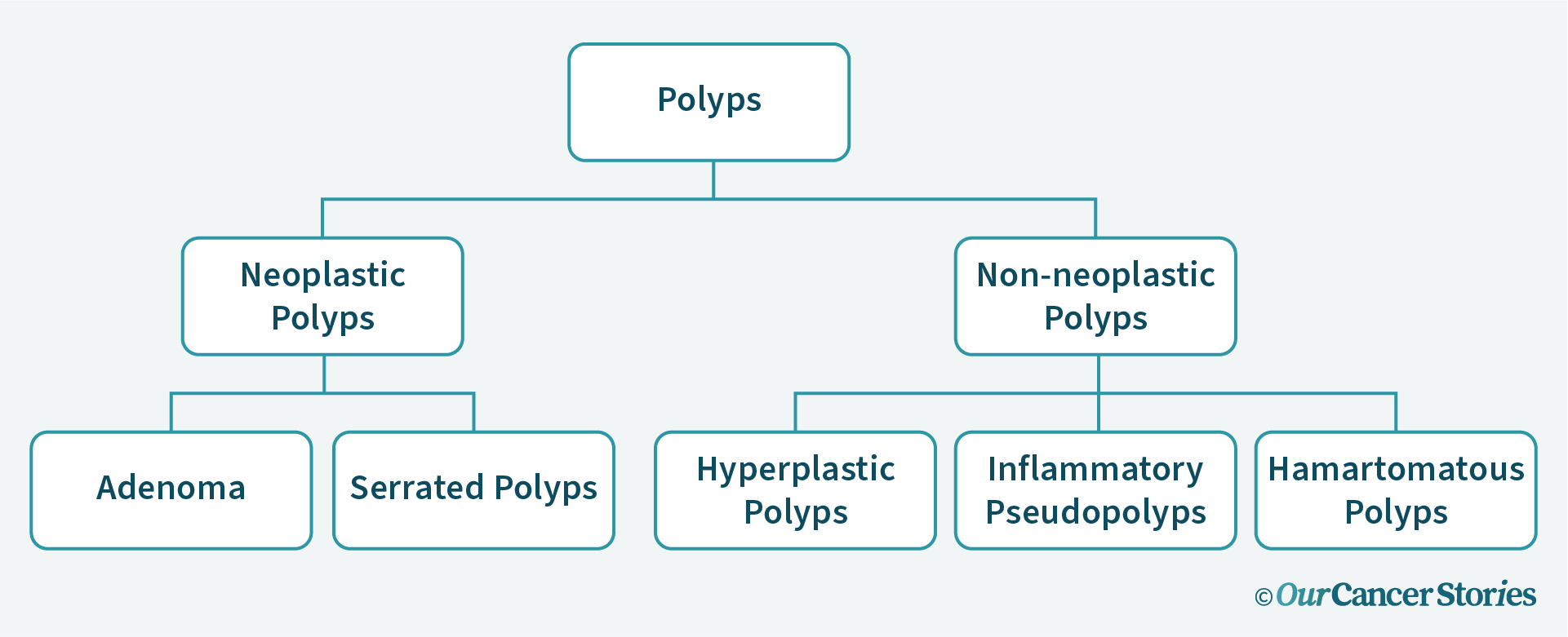hyperplastic polyps and inflammatory polyps