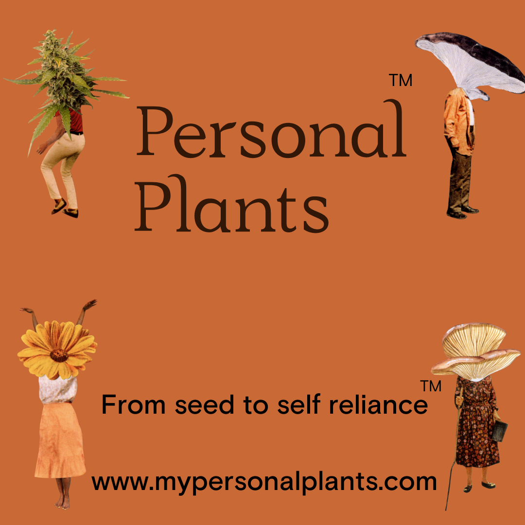 Personal Plants