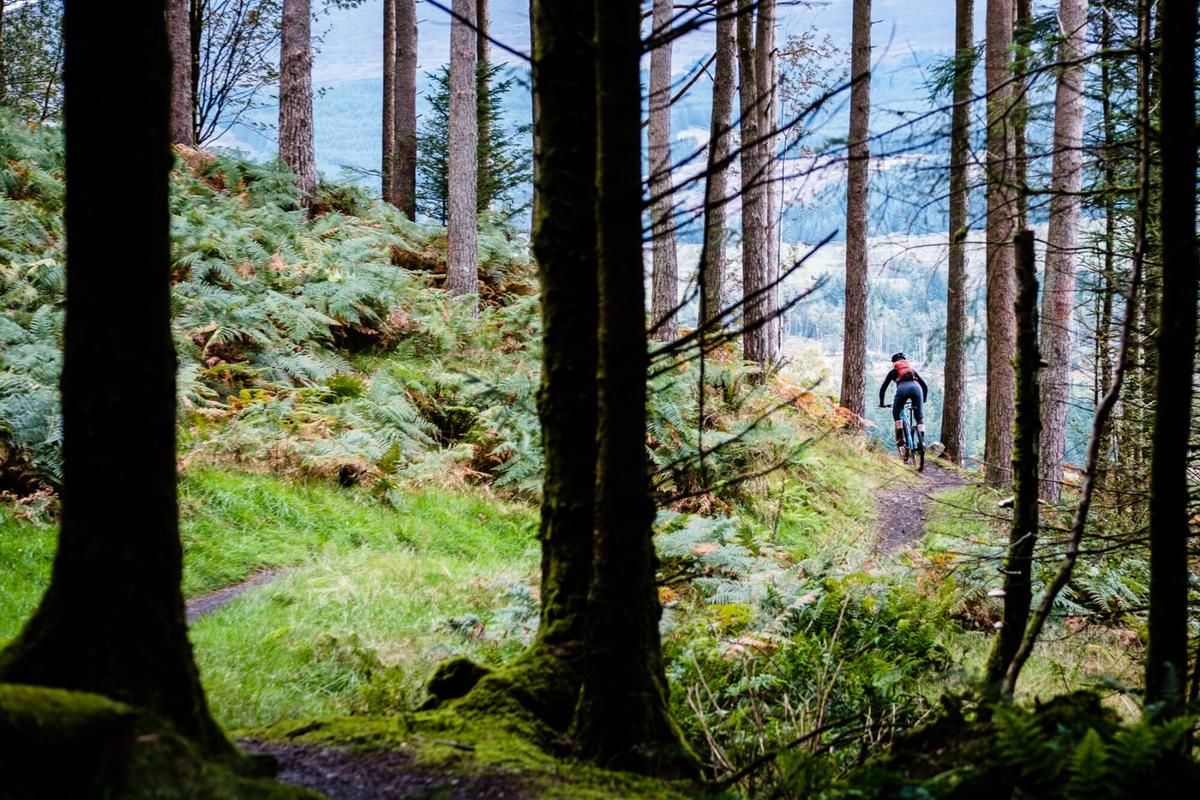 7 Heaven: An Intro to the 7stanes MTB Trail Centers / Ritchey Logic