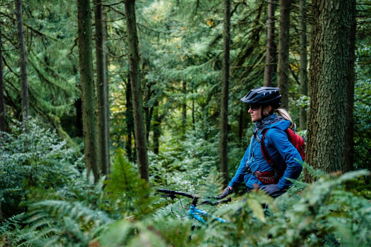 7 Heaven: An Intro to the 7stanes MTB Trail Centers / Ritchey Logic